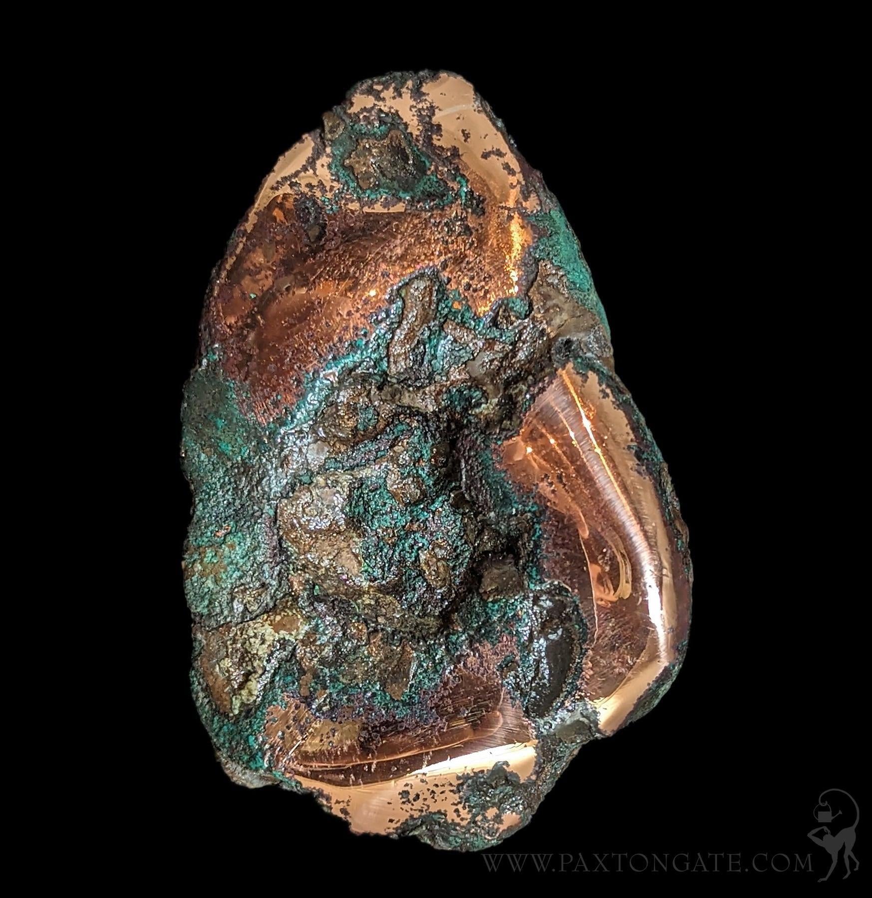 Butchite Decorator – Paxton Gate