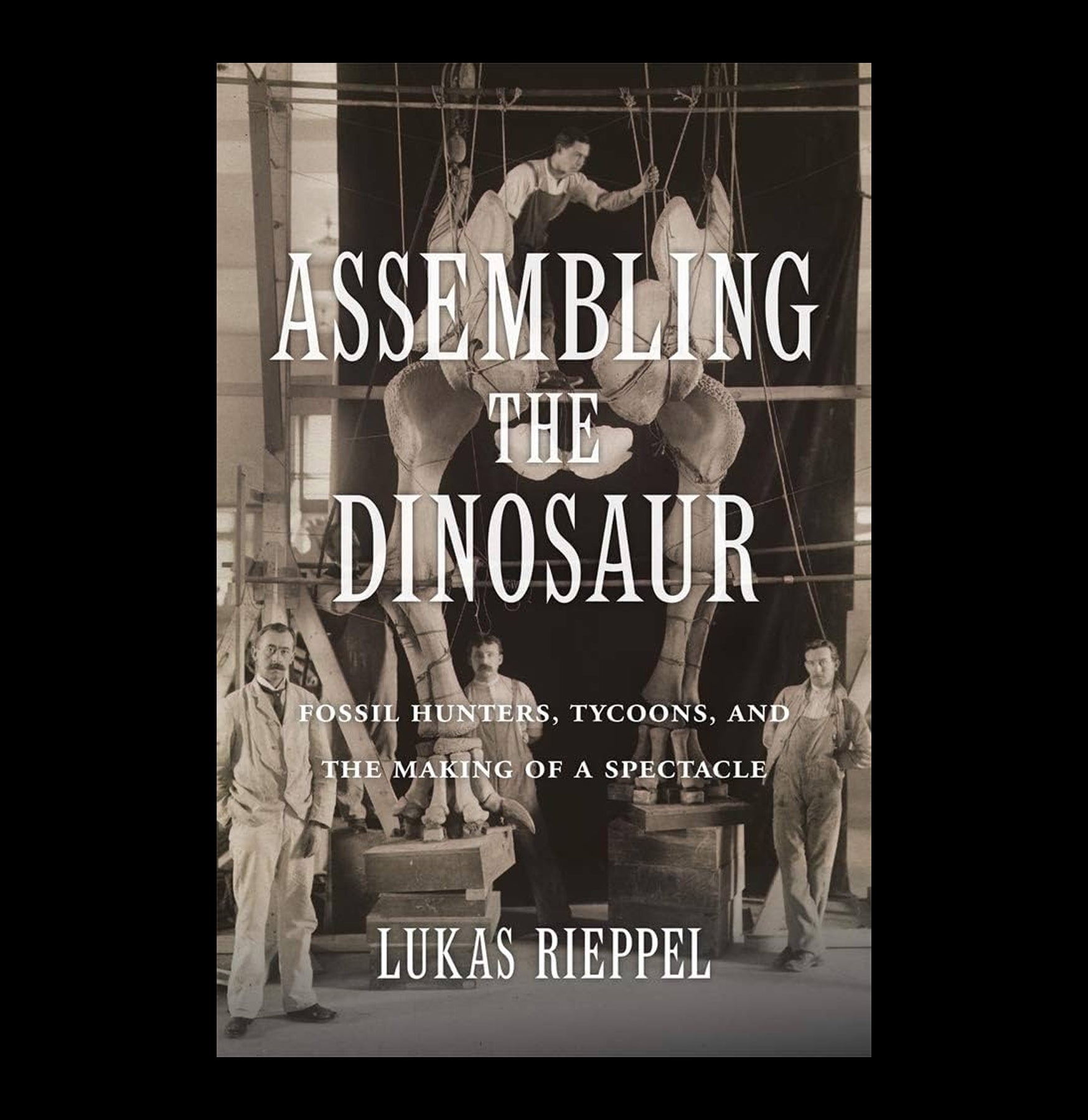 Assembling the Dinosaur – Paxton Gate