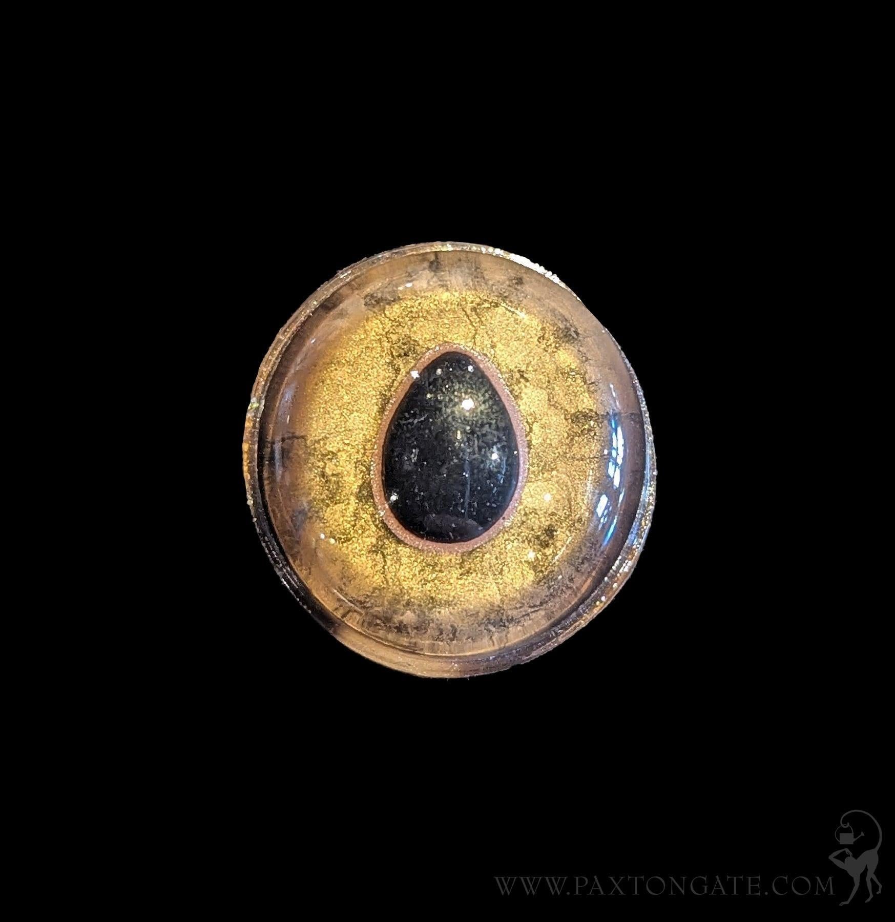 Glass Taxidermy Gold Fish Eye – Paxton Gate