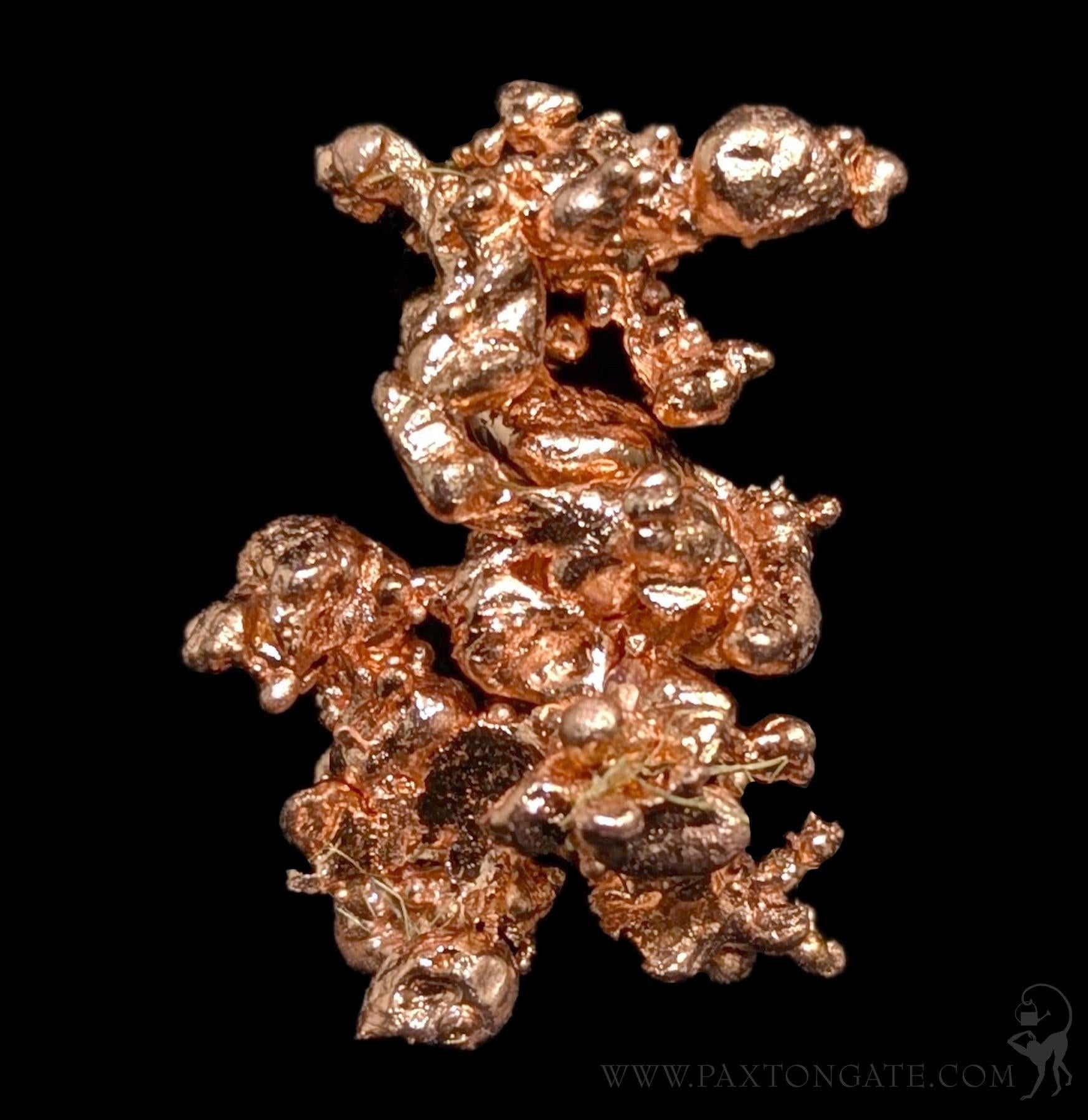 Copper Sculpture – Paxton Gate