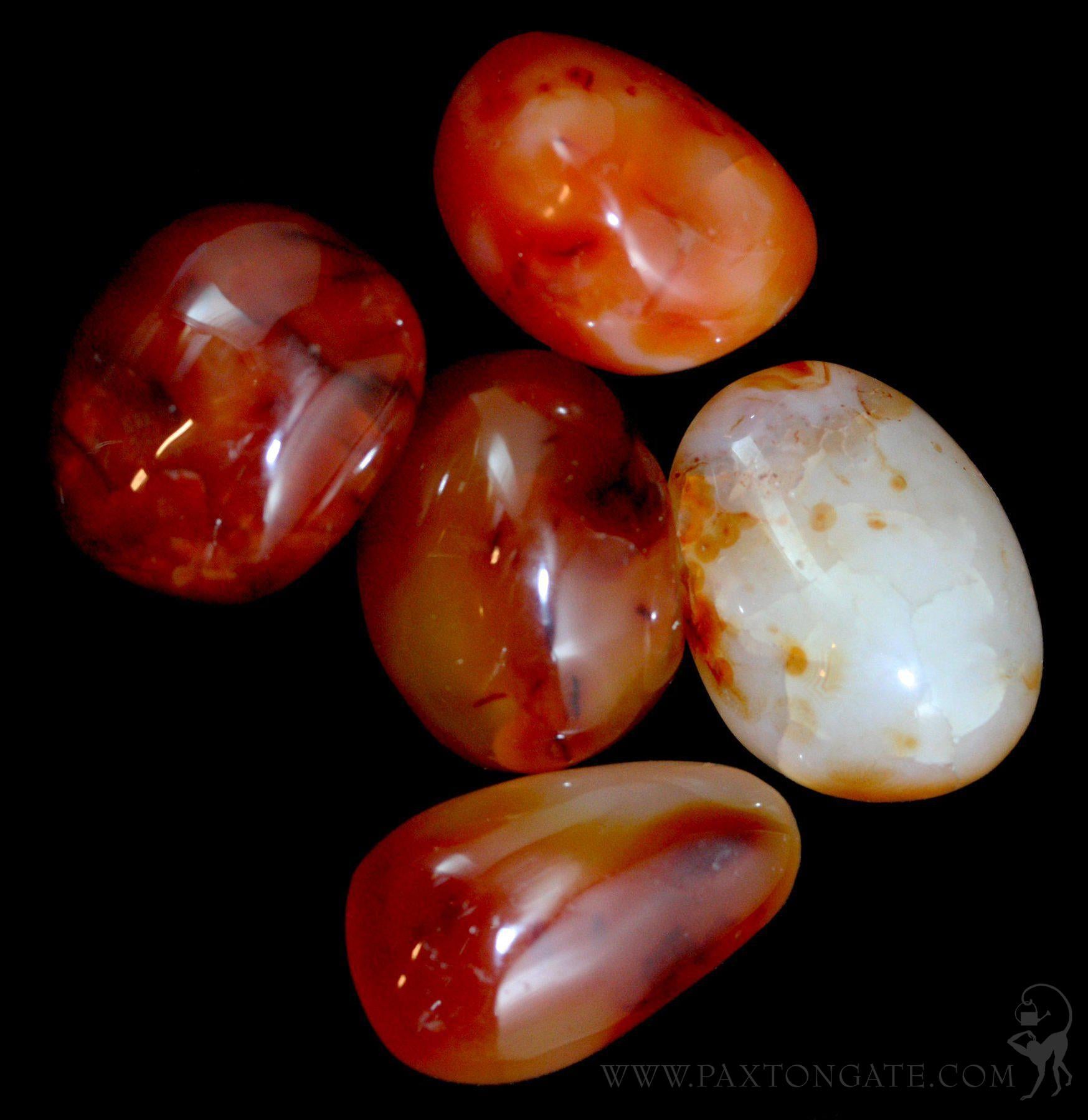Tumbled Carnelian Stone – Paxton Gate