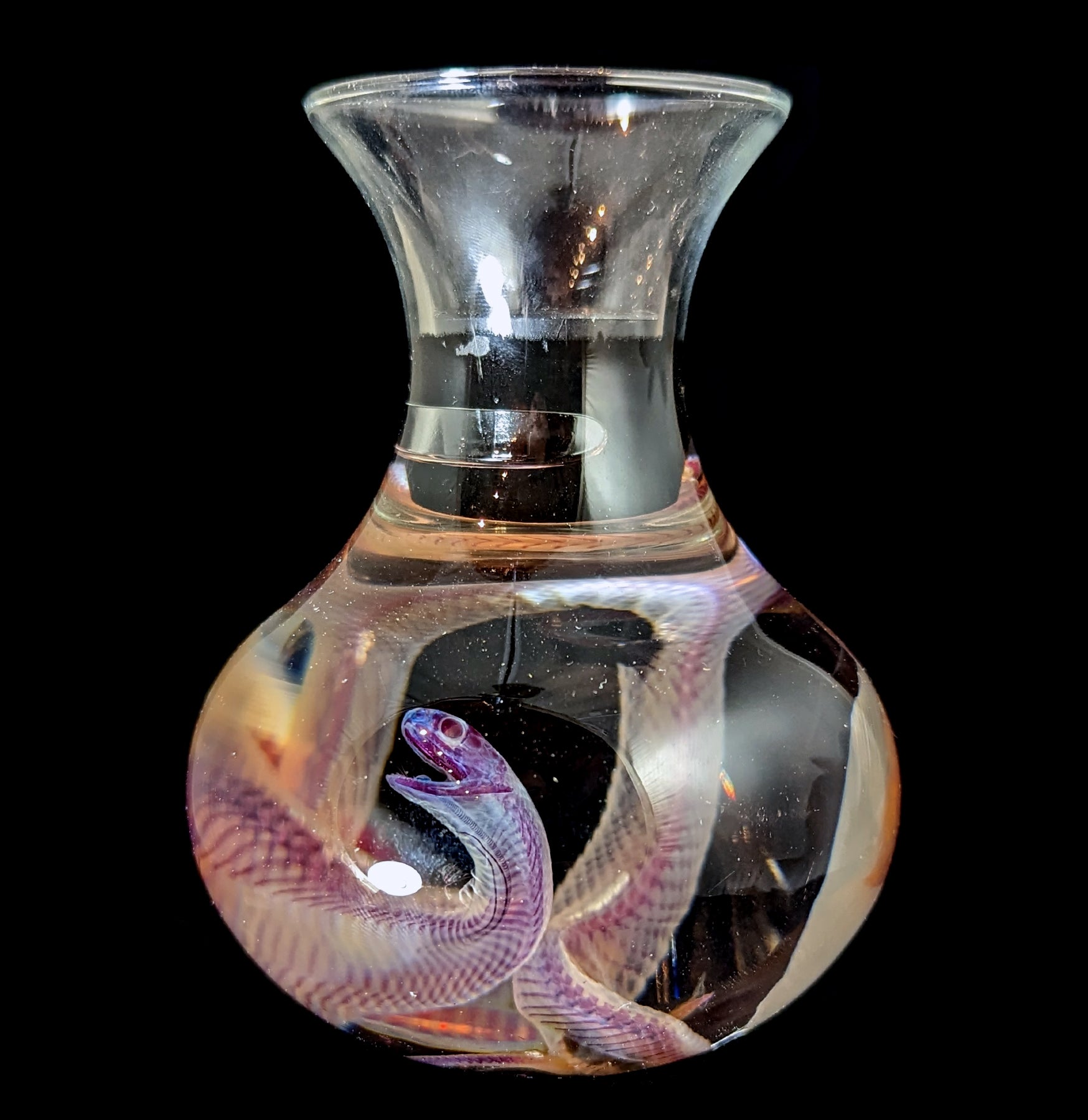 Oddities and Wet Specimens – Paxton Gate