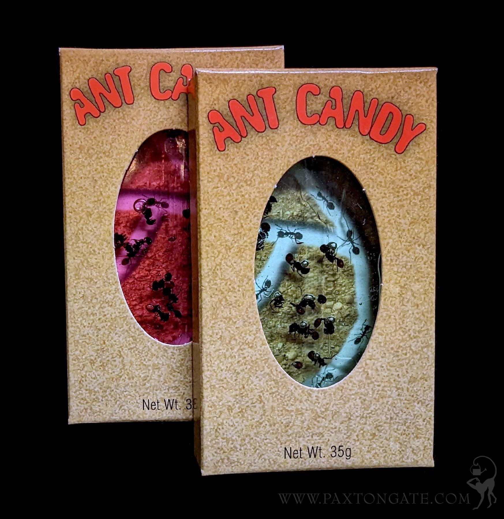 Ant Candy – Paxton Gate