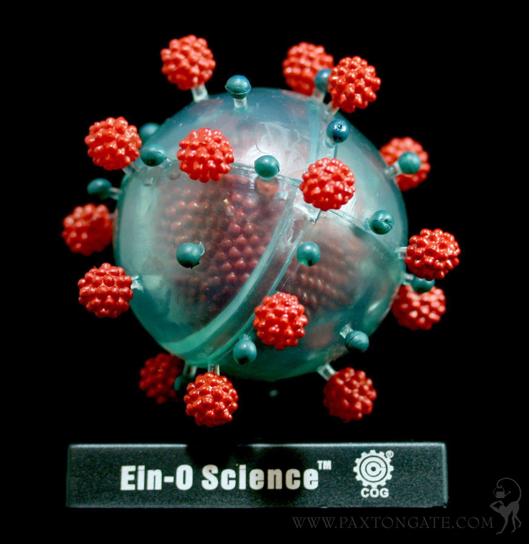 Bio Signs Interactive Virus Model – Paxton Gate