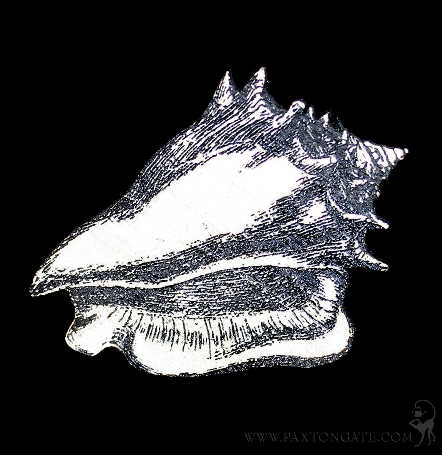 Birch Wood Conch Magnet – Paxton Gate