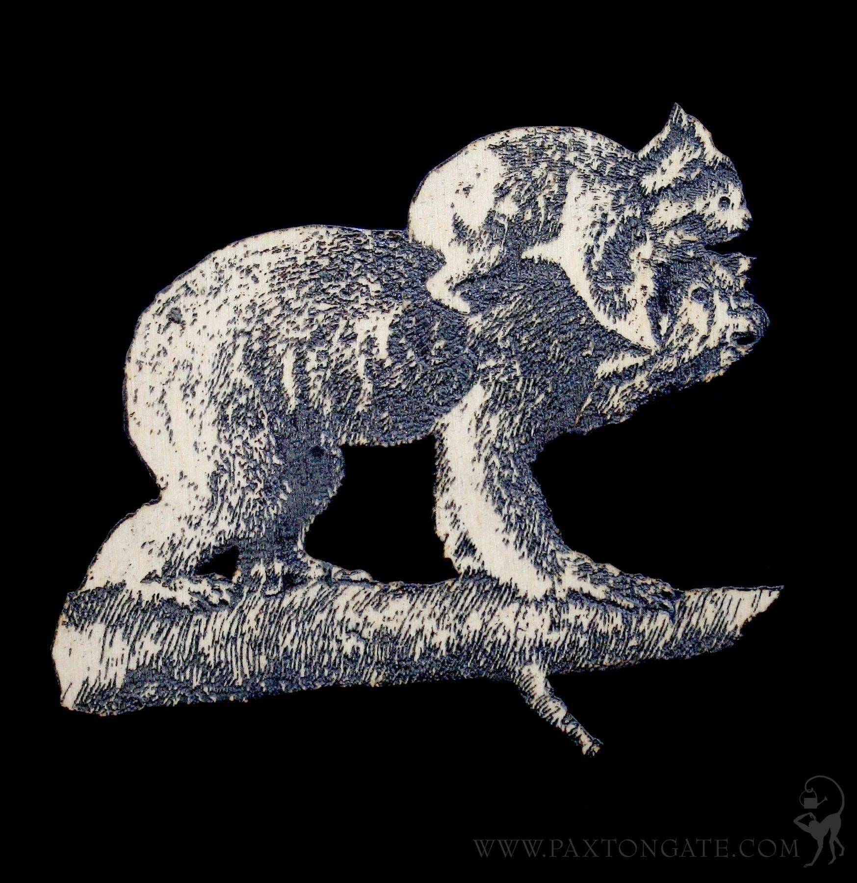 Birch Wood Koala Magnet – Paxton Gate