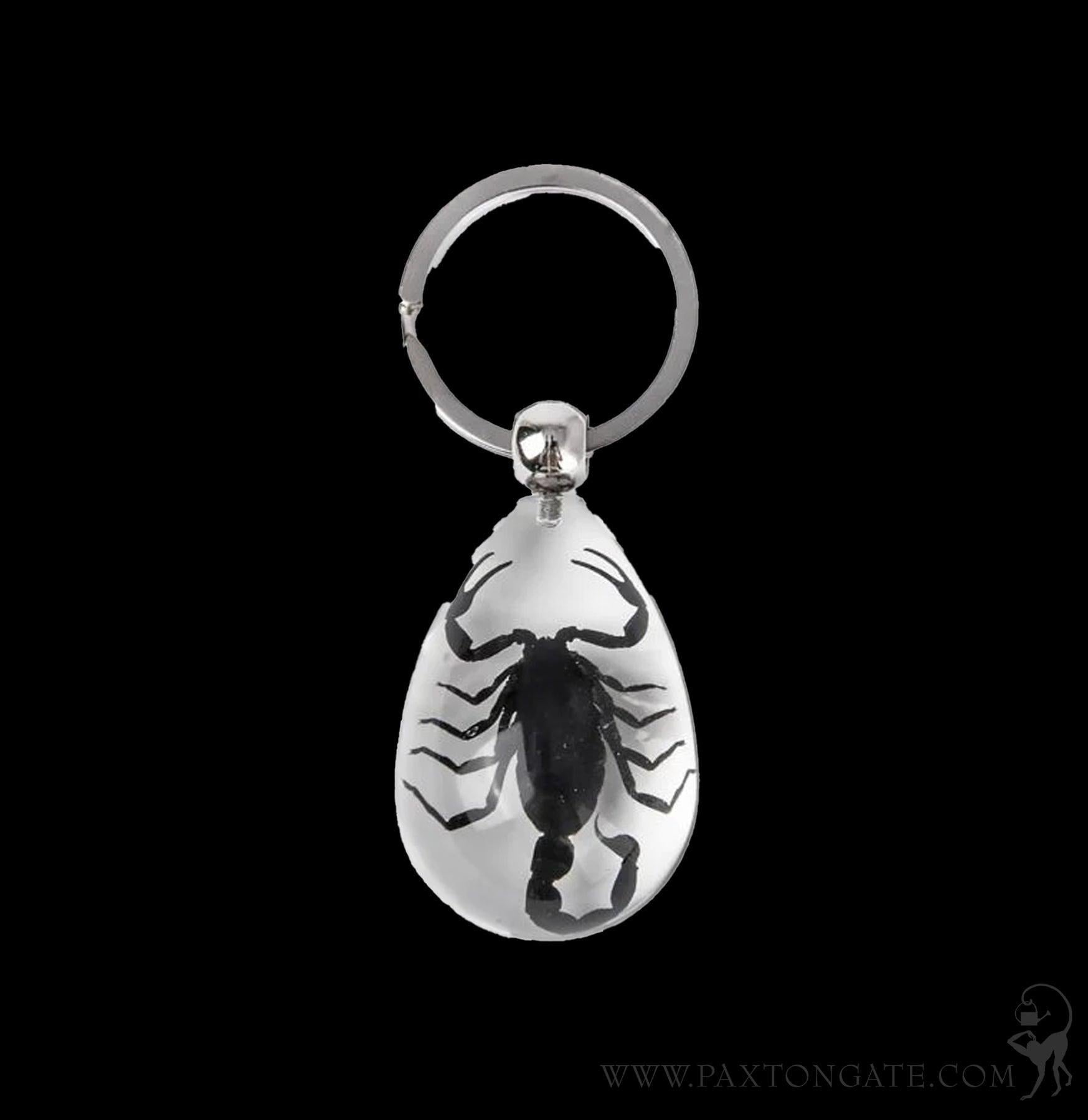 Black Scorpion Clear Teardrop Keychain – Paxton Gate