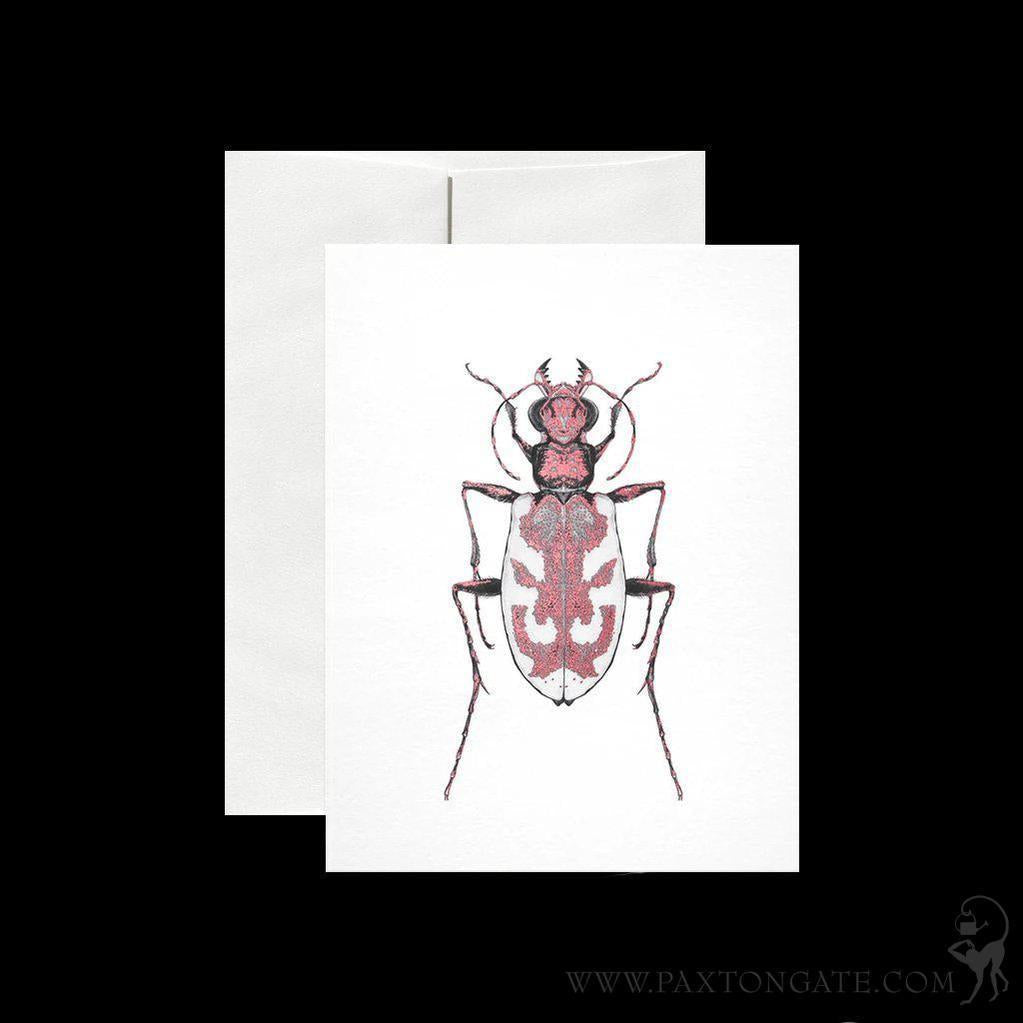Blowout Tiger Beetle Card – Paxton Gate