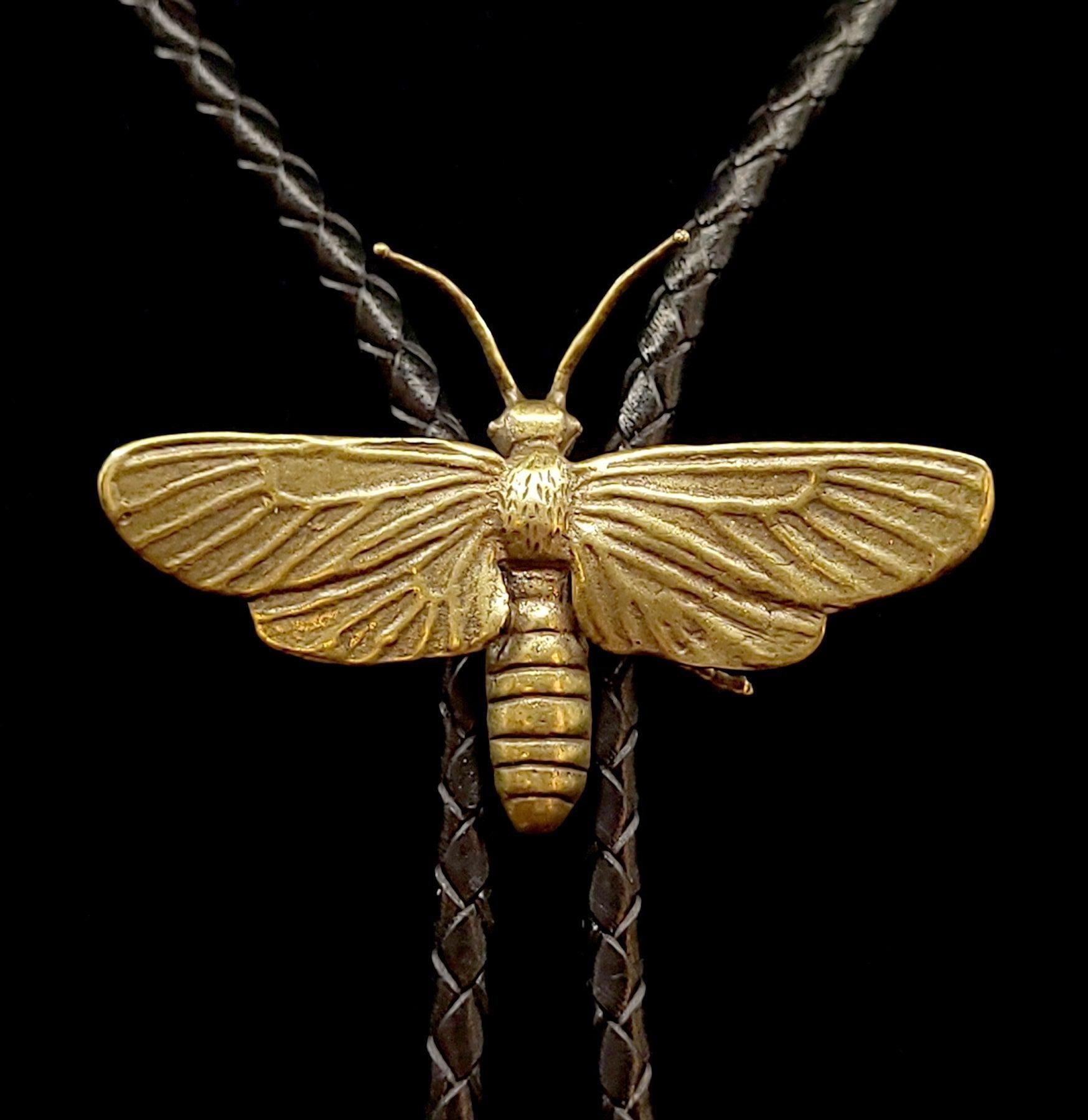 Brass Hawk Moth Bolo Tie – Paxton Gate