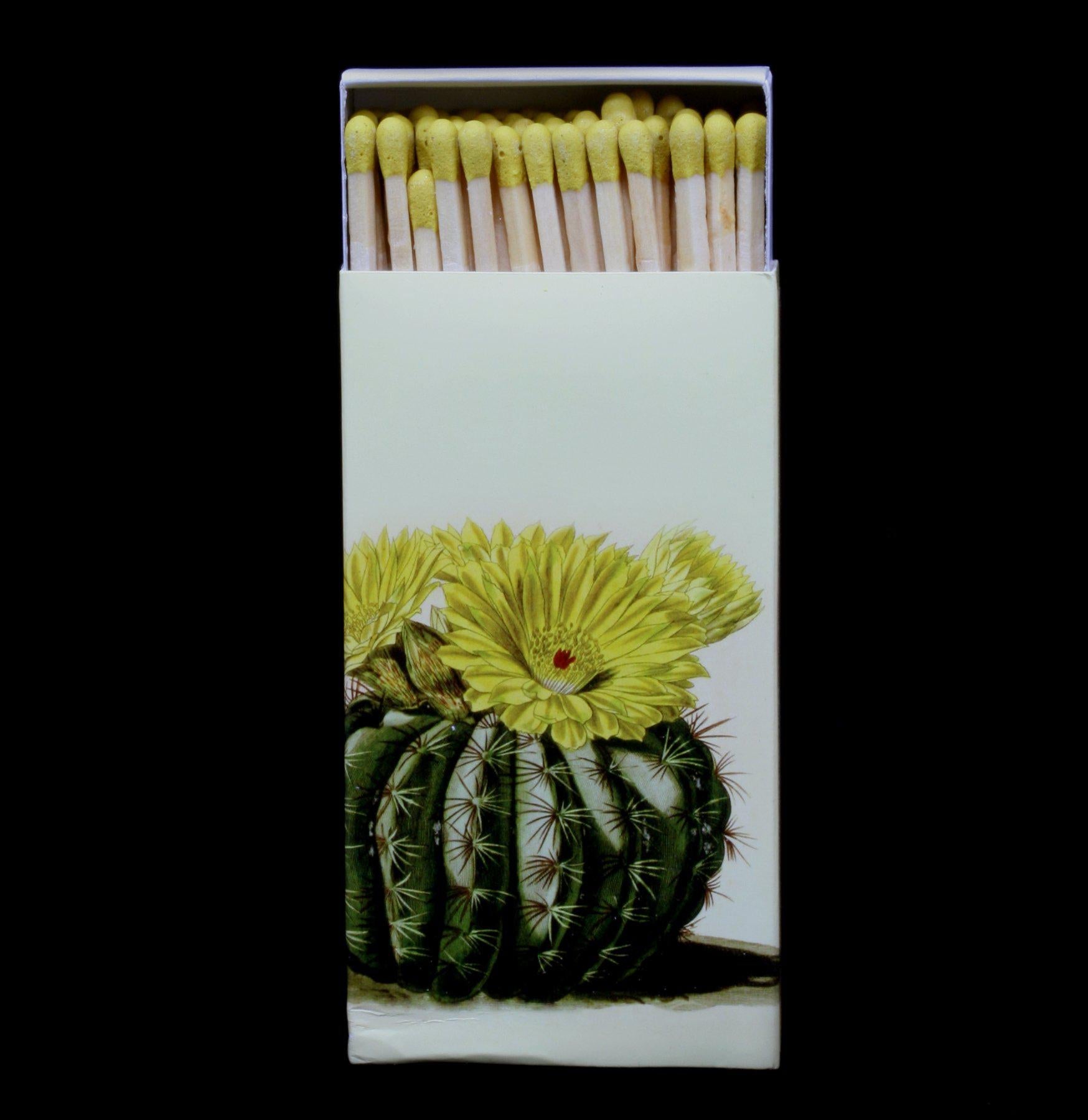 Cacti Matches – Paxton Gate