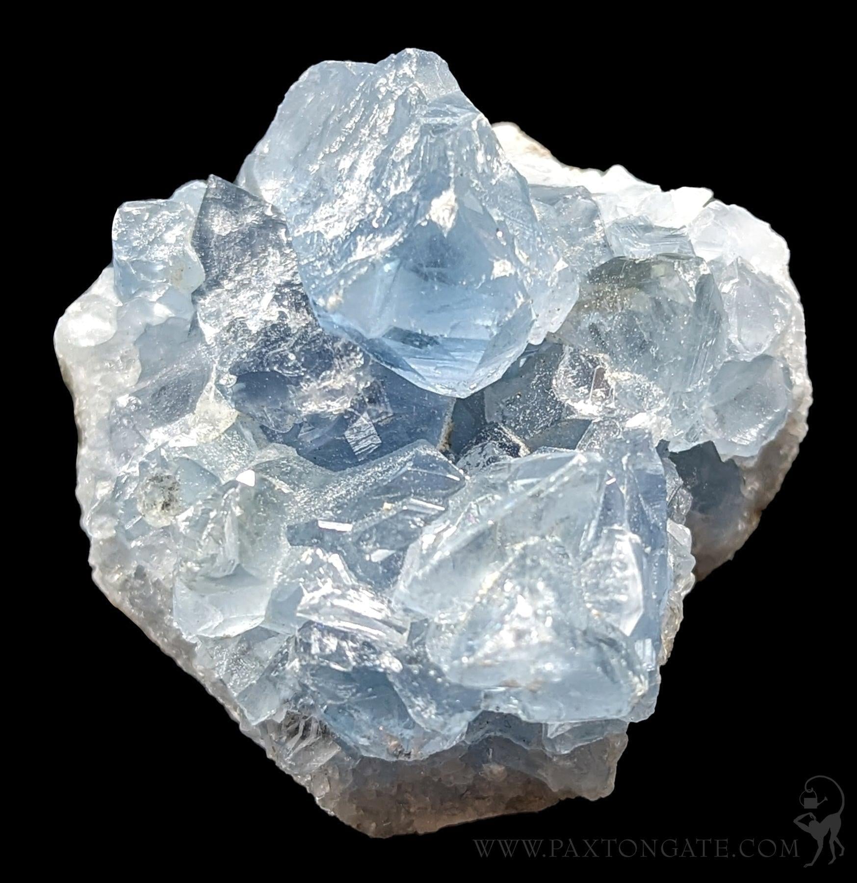 Celestite Crystal Geode Fragment – Paxton Gate