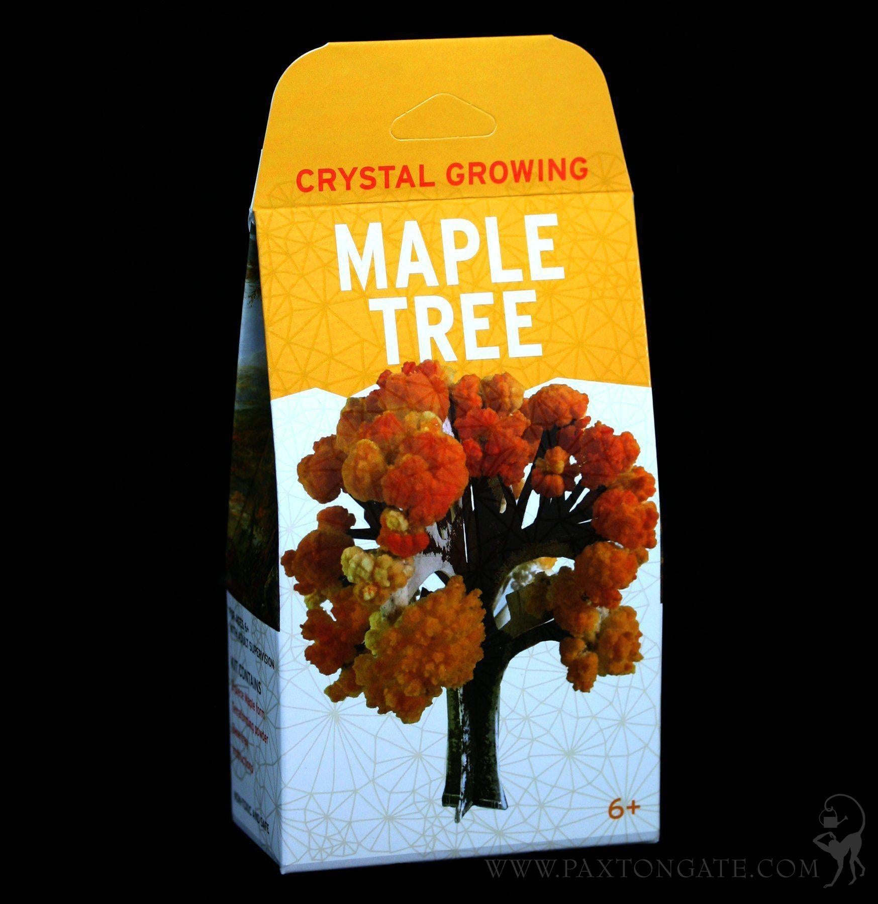 Crystal Growing Maple Tree – Paxton Gate