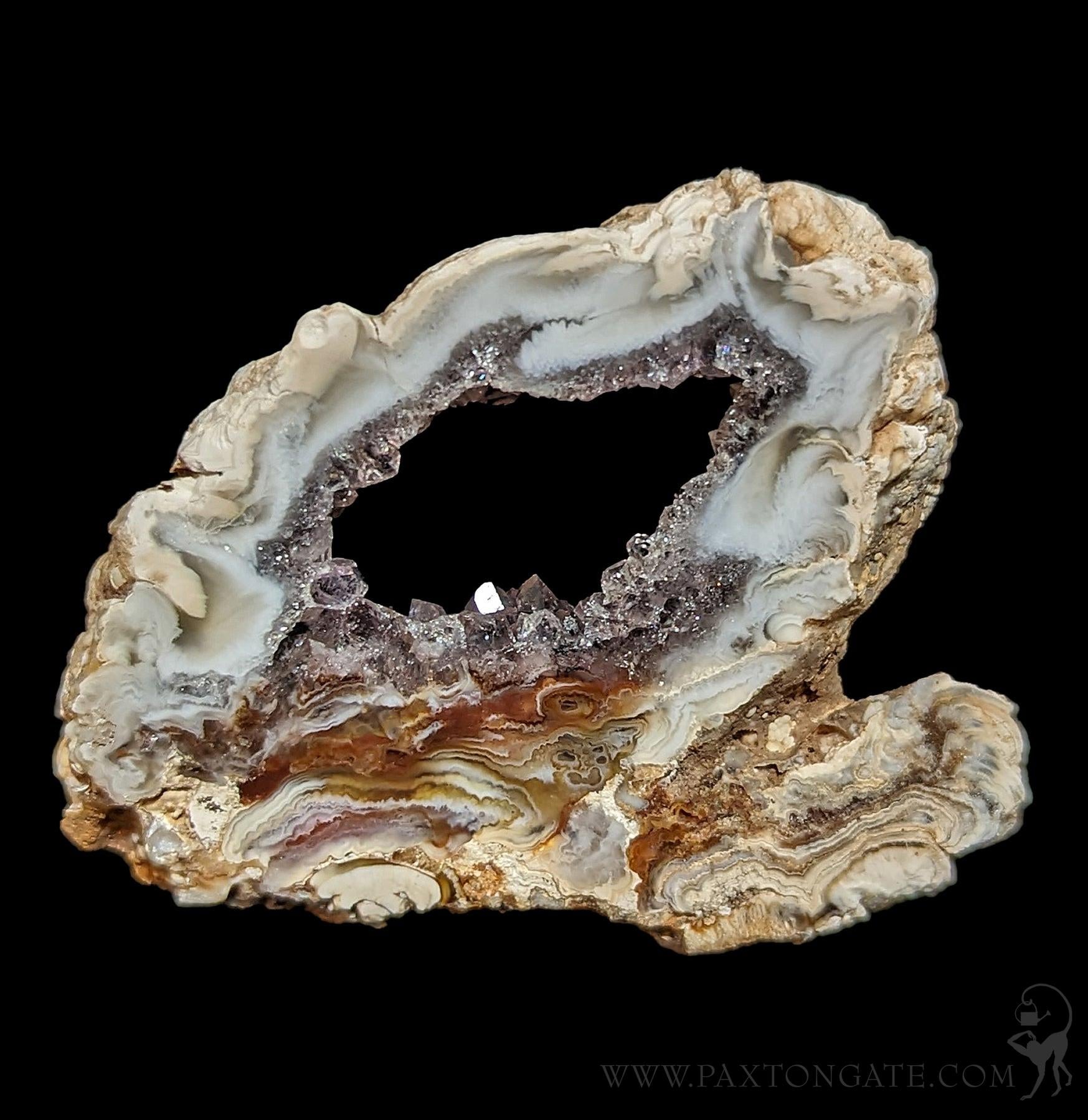 Cut and Polished Agate Geode Slice – Paxton Gate