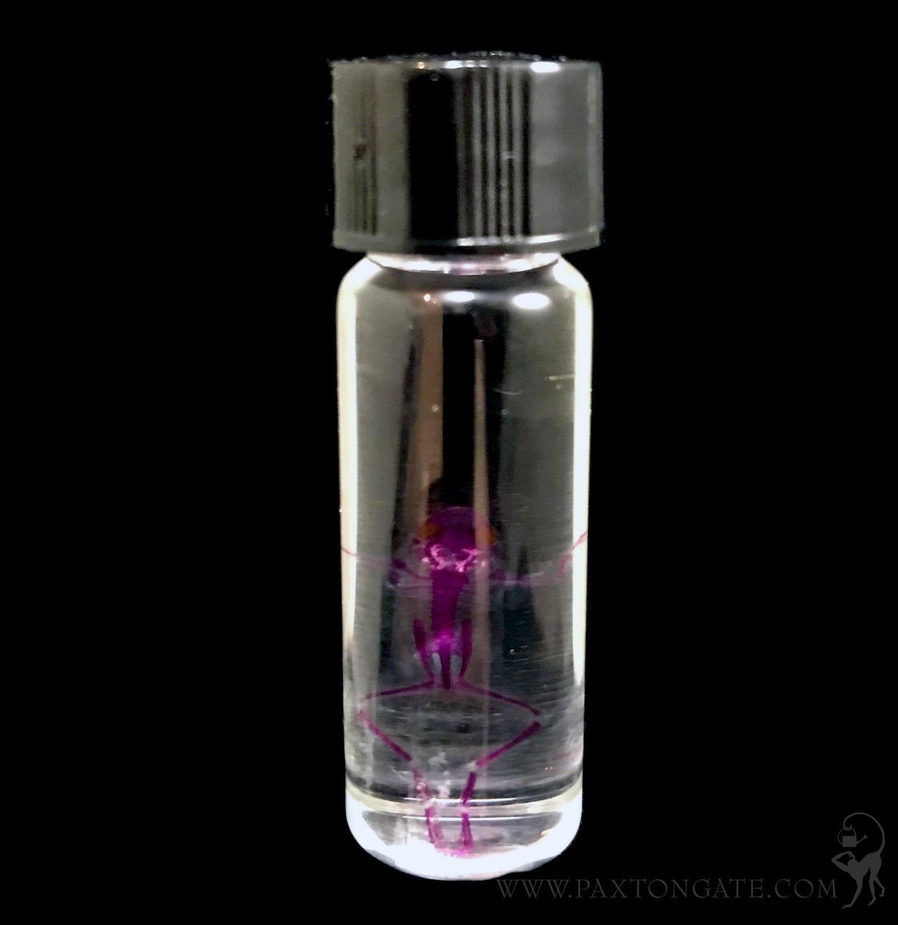 Diaphonized Frog Wet Specimen – Paxton Gate