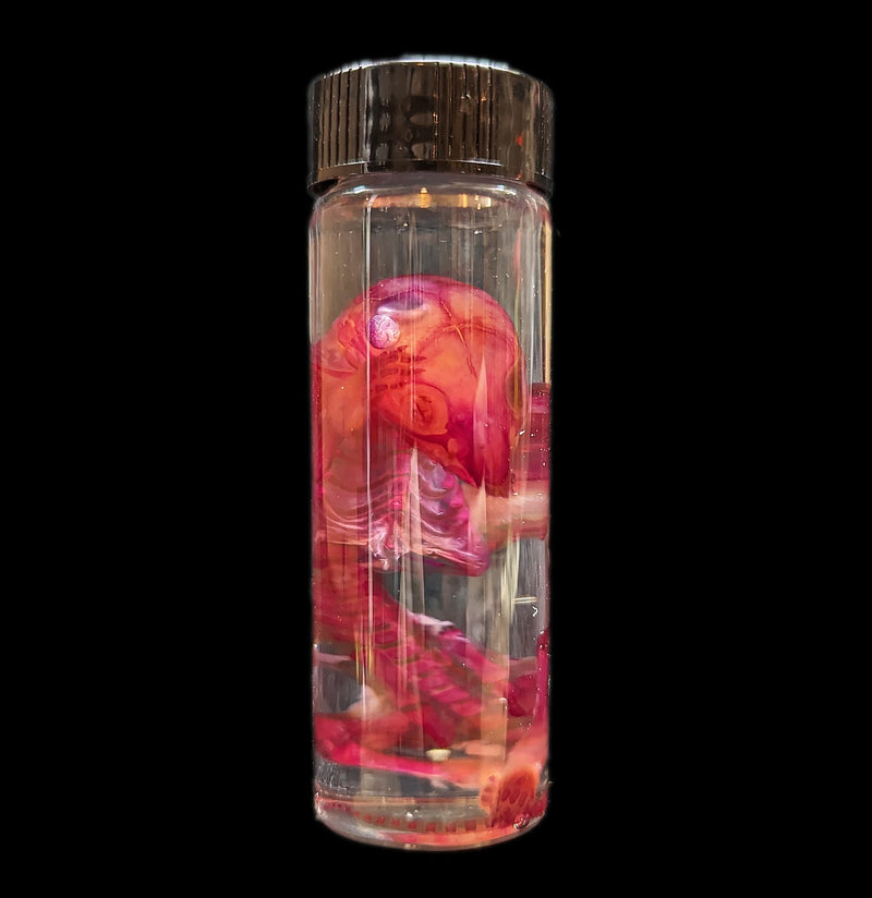 Diaphonized Rat Wet Specimen – Paxton Gate