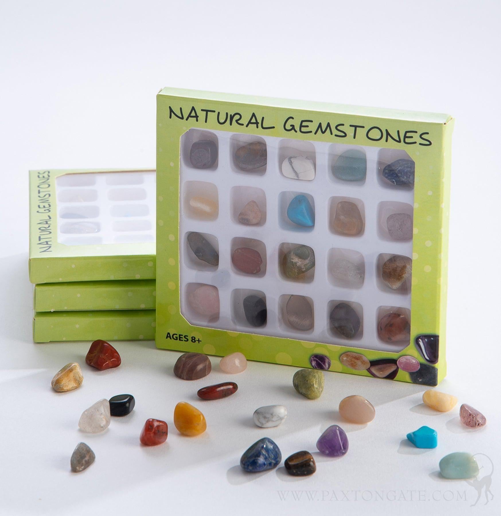 Gemstone Collection Box – Paxton Gate