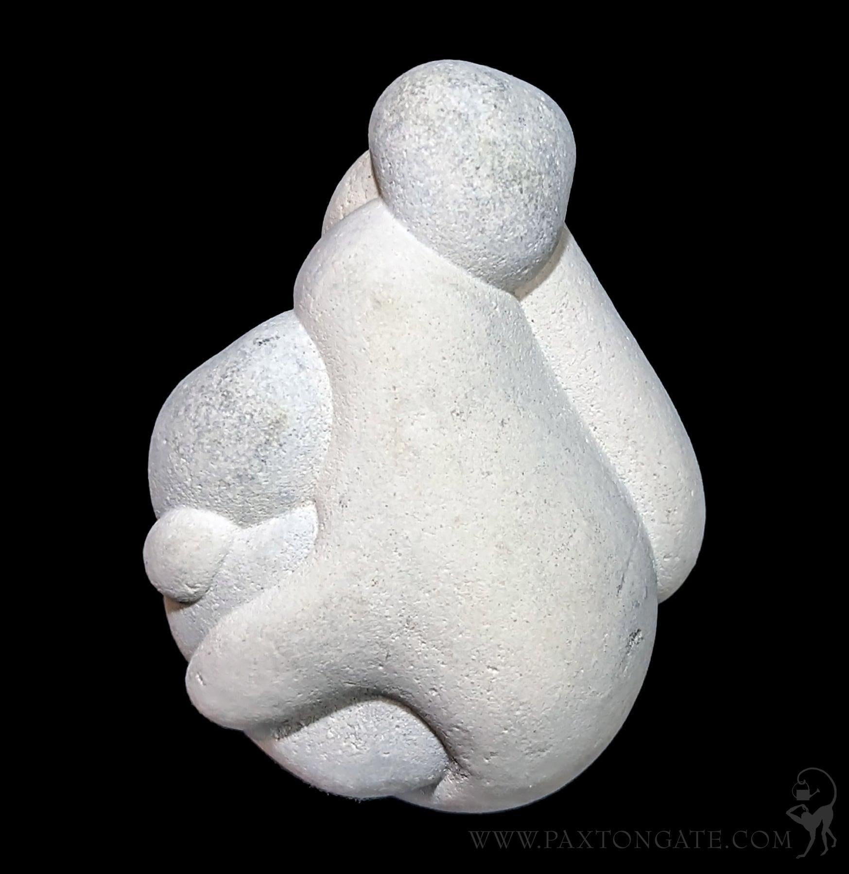 Goddess Stone Menilite – Paxton Gate