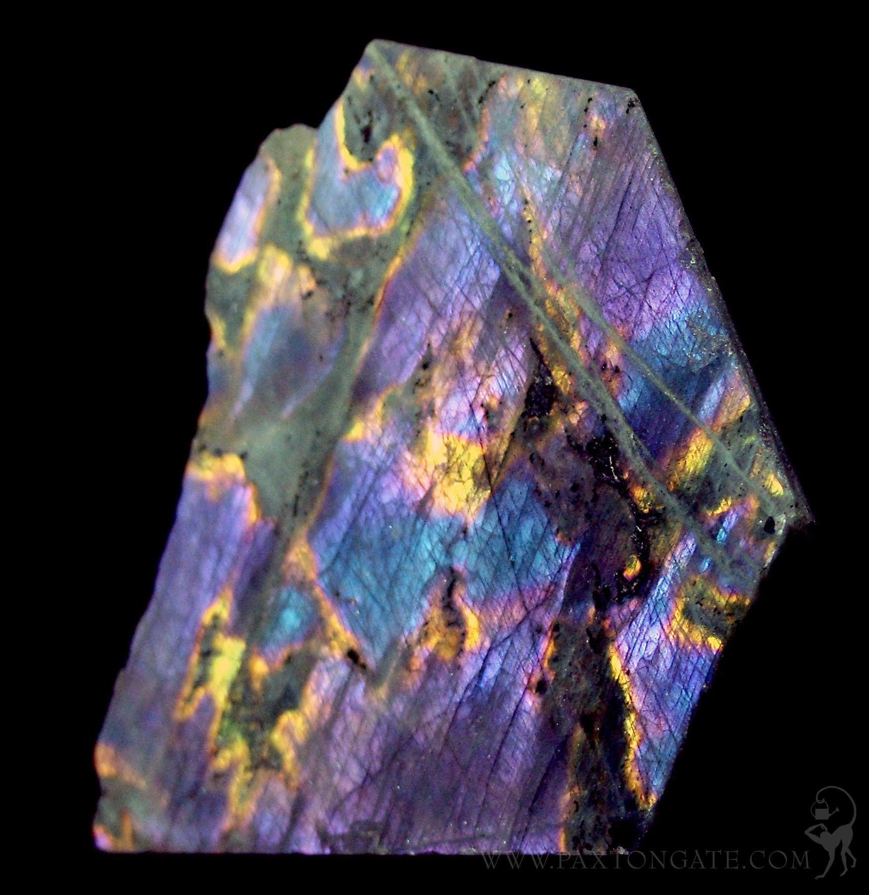 Labradorite Freeform – Paxton Gate