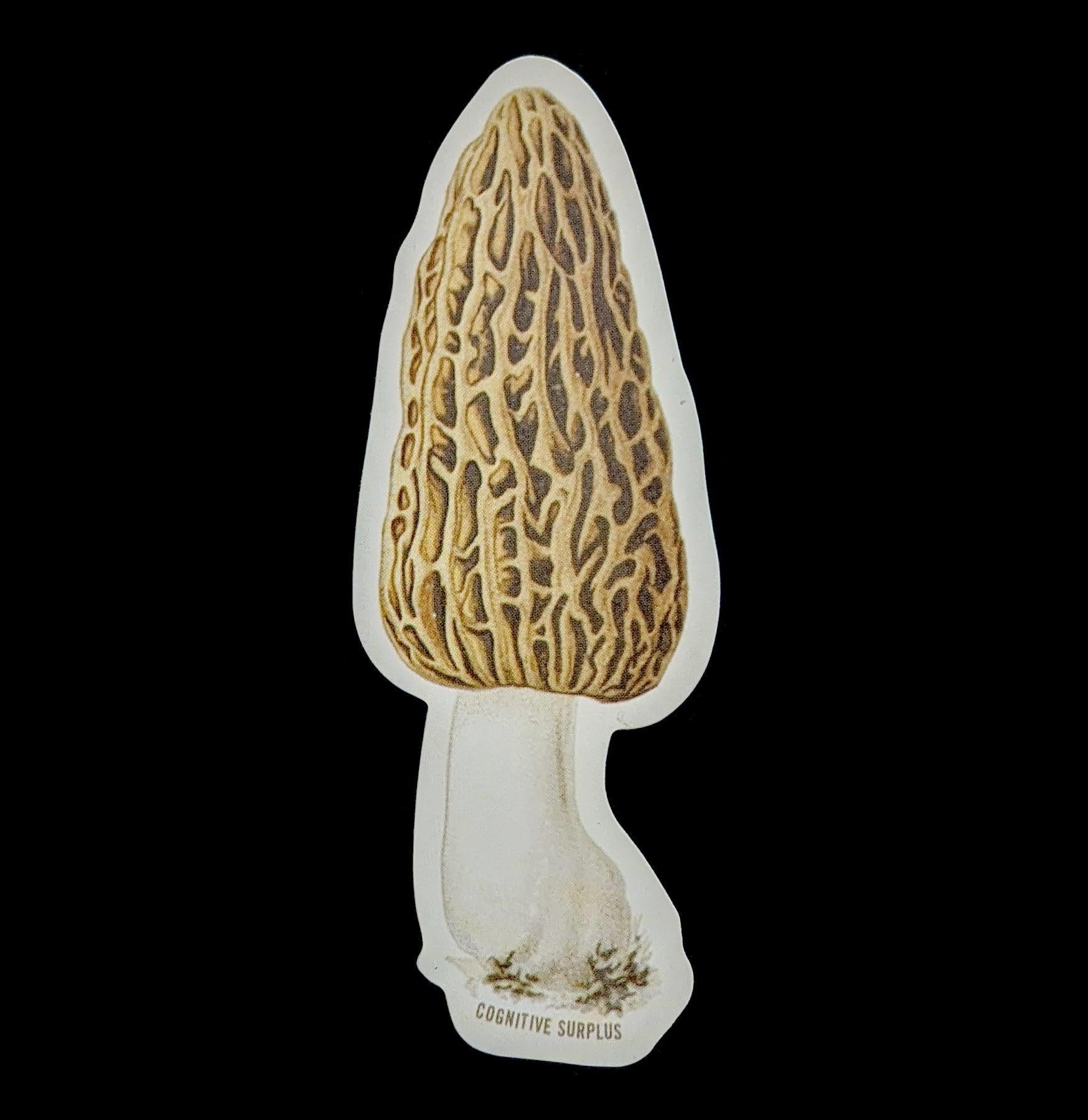 Morel Mushroom Sticker – Paxton Gate