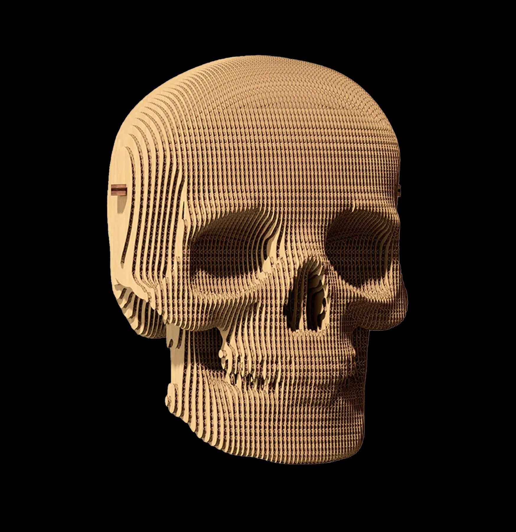 3D Skull Puzzle – Paxton Gate
