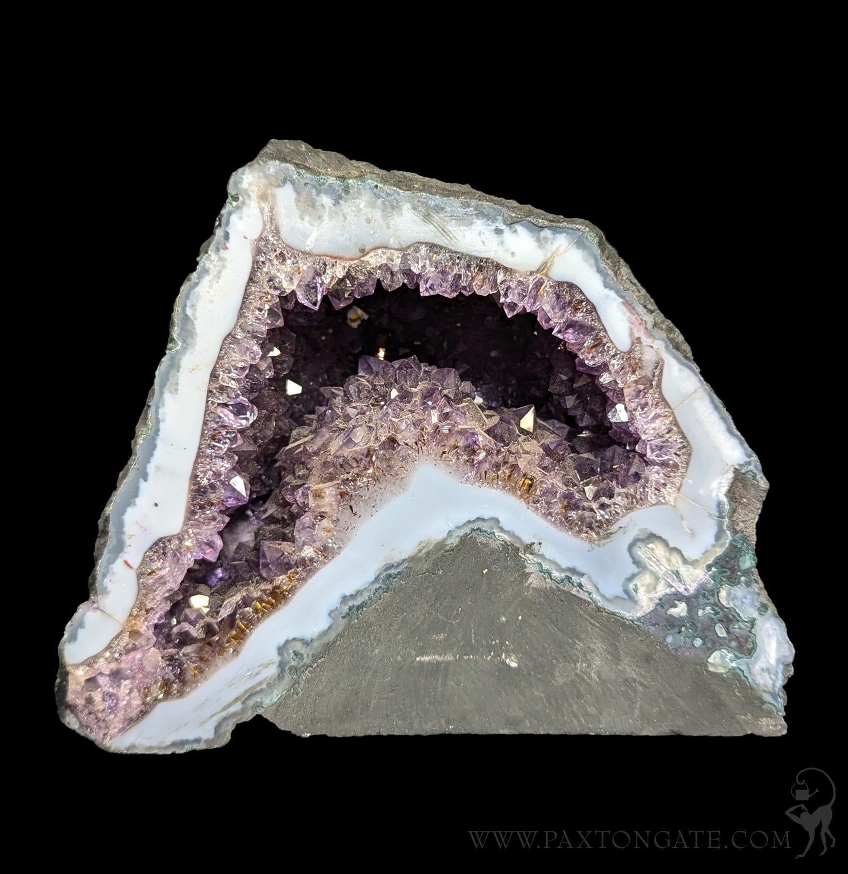 Brazilian Amethyst Geode Specimen E – Paxton Gate