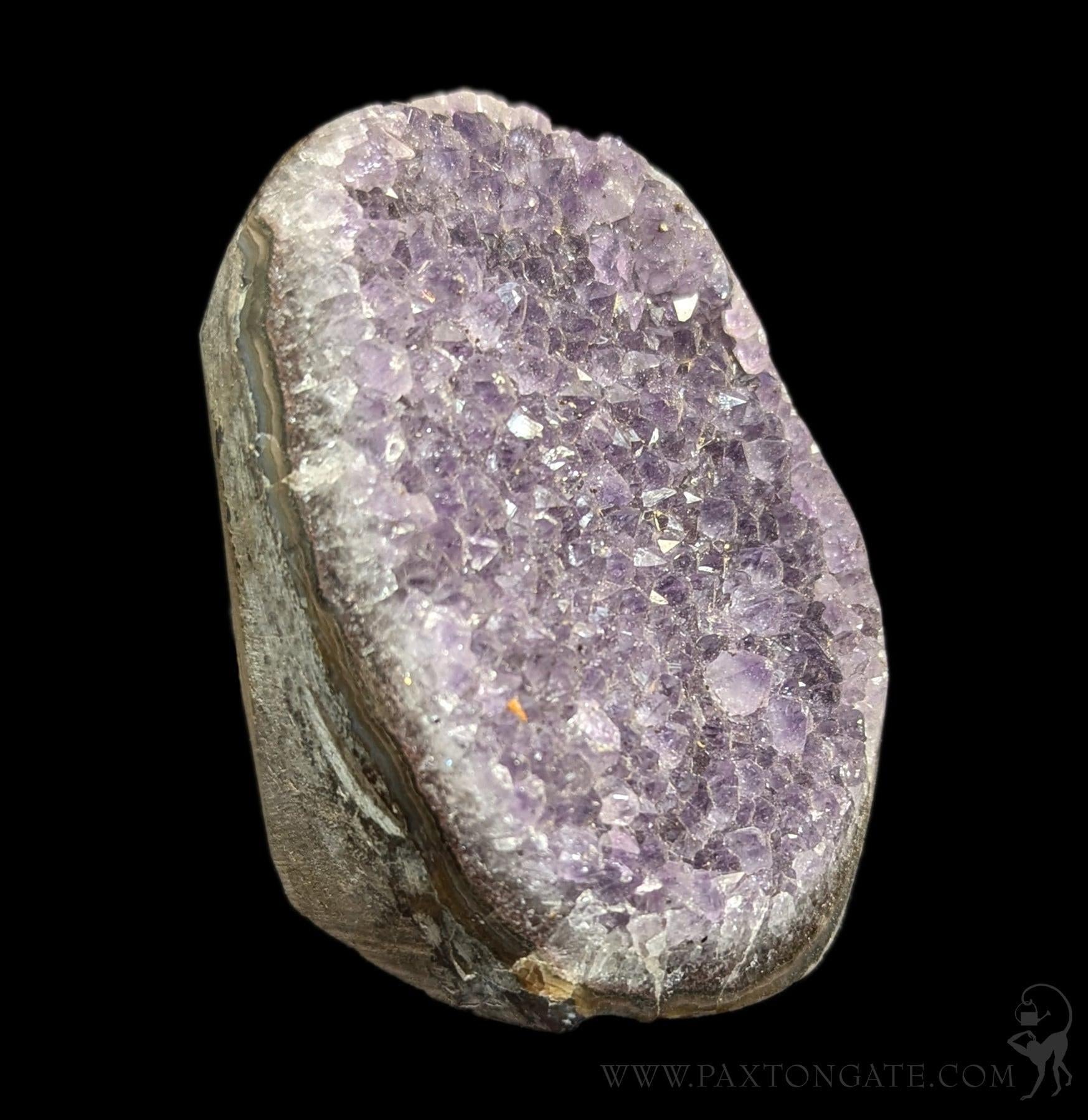 Polished Brazilian Amethyst Stands – Paxton Gate