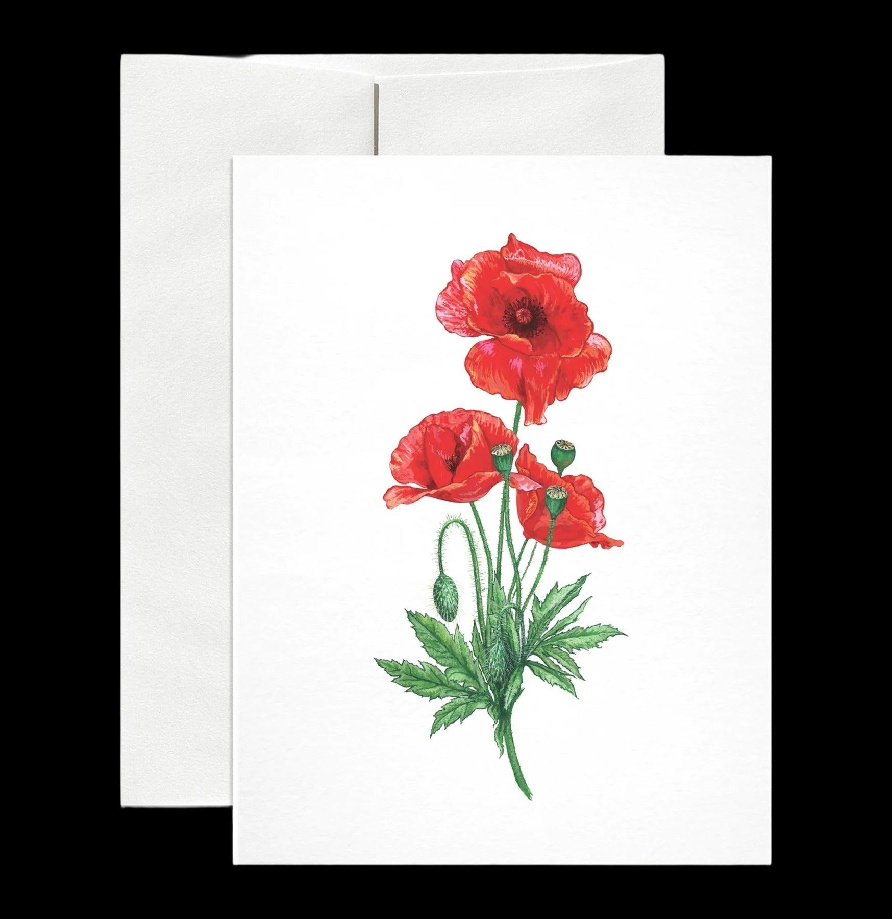 Poppy Poison Greeting Card – Paxton Gate