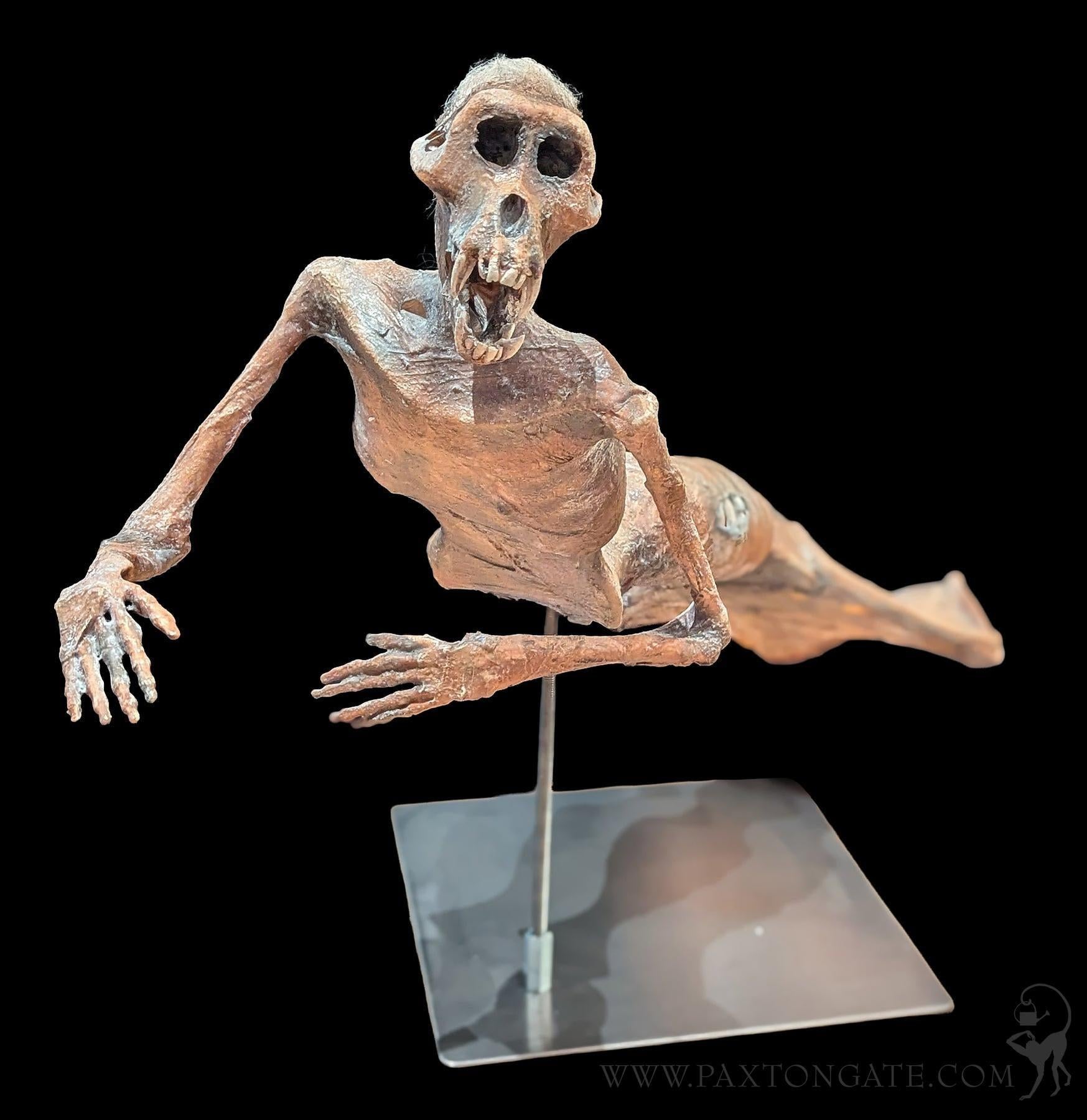 Replica Feejee Mermaid – Paxton Gate