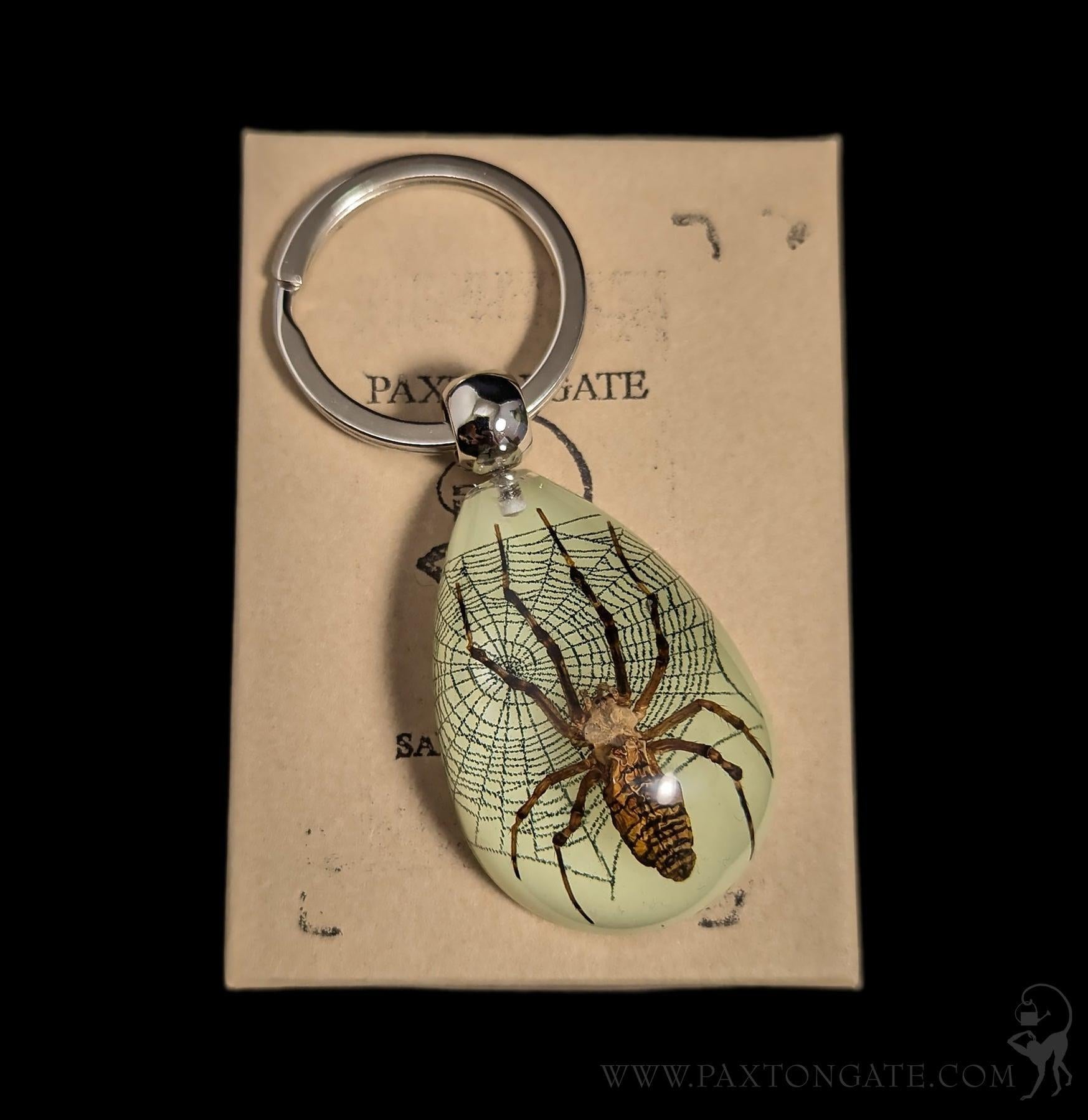 Spider With Glow In The Dark Web Keychain – Paxton Gate