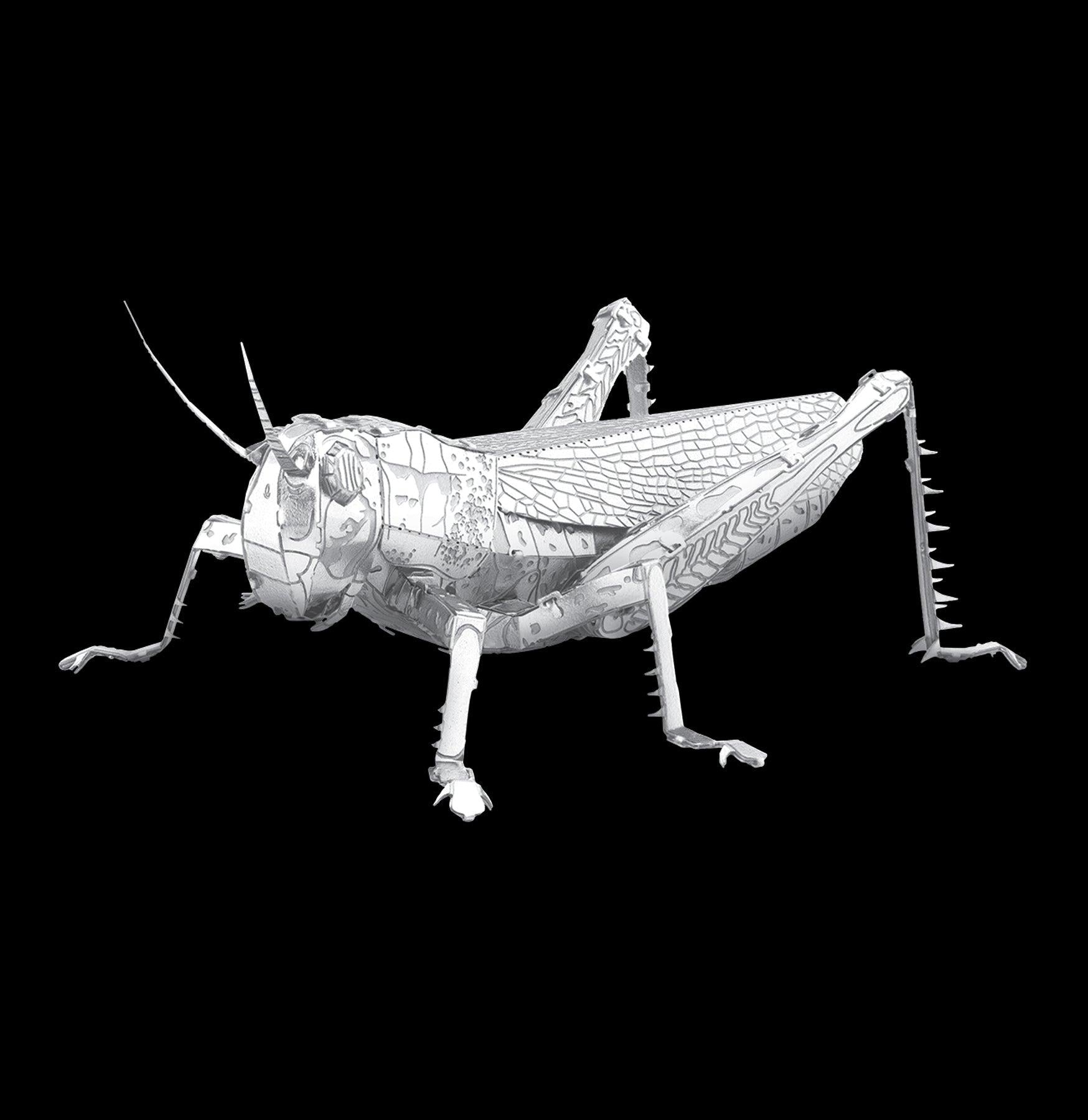 Metal Grasshopper 3D Model – Paxton Gate