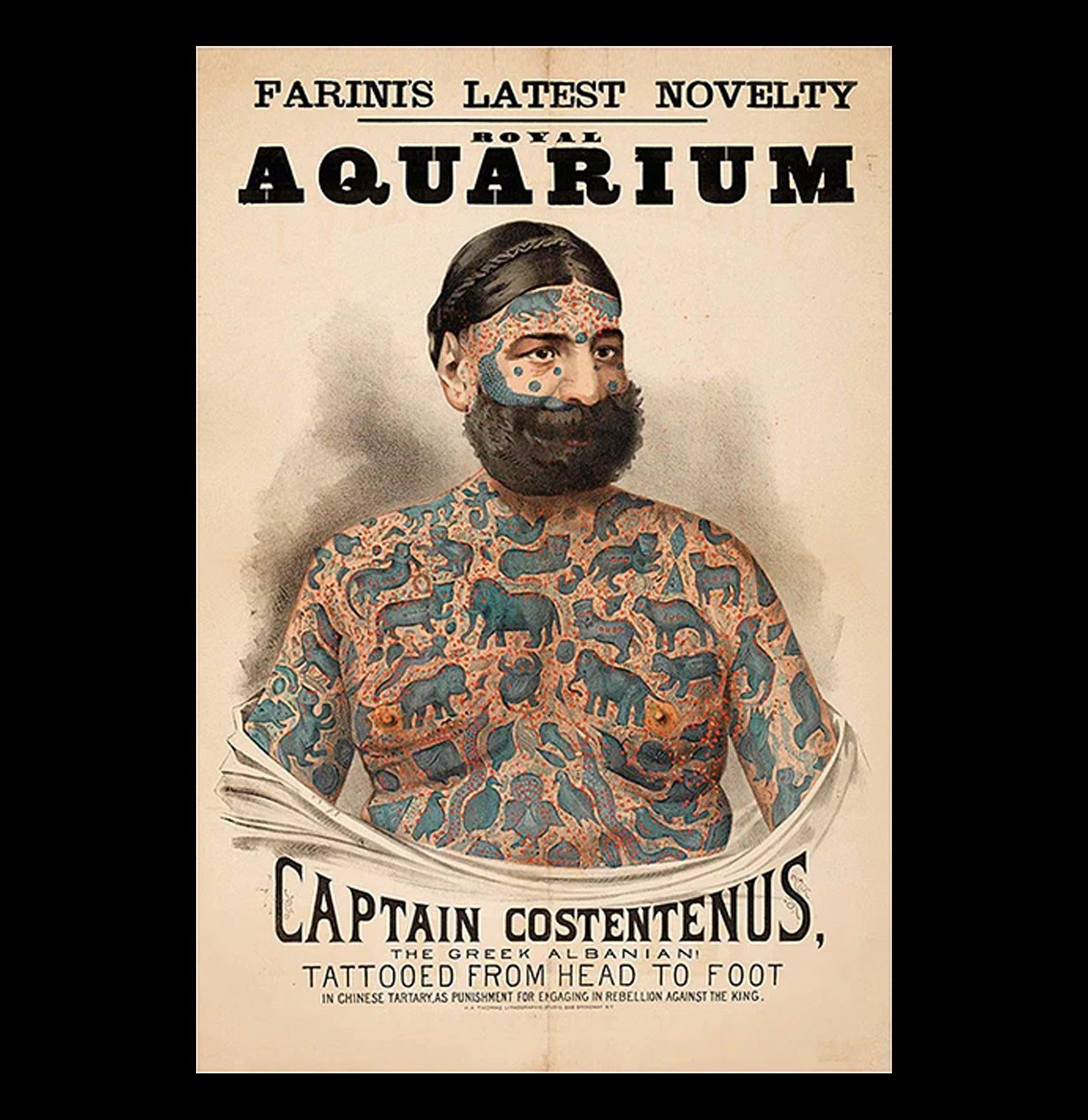 Captain Costentenus Poster – Paxton Gate