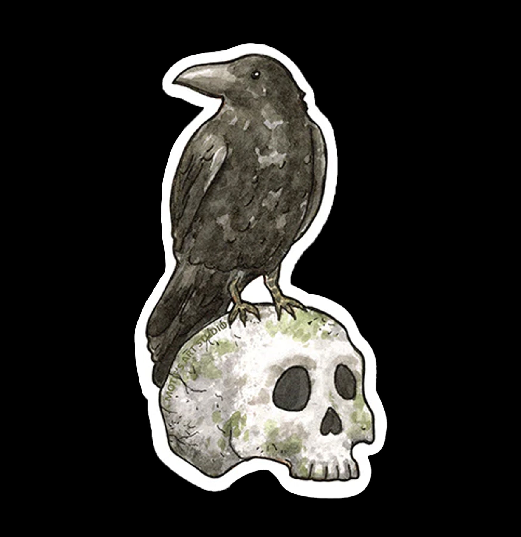 Raven on Skull Sticker – Paxton Gate