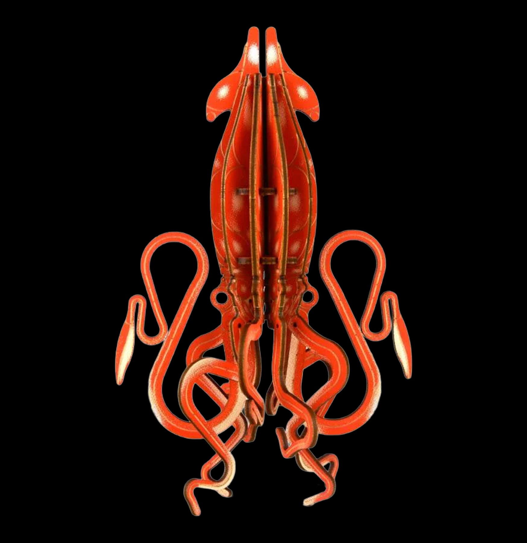 Architeuthis Giant Squid Craft Kit – Paxton Gate