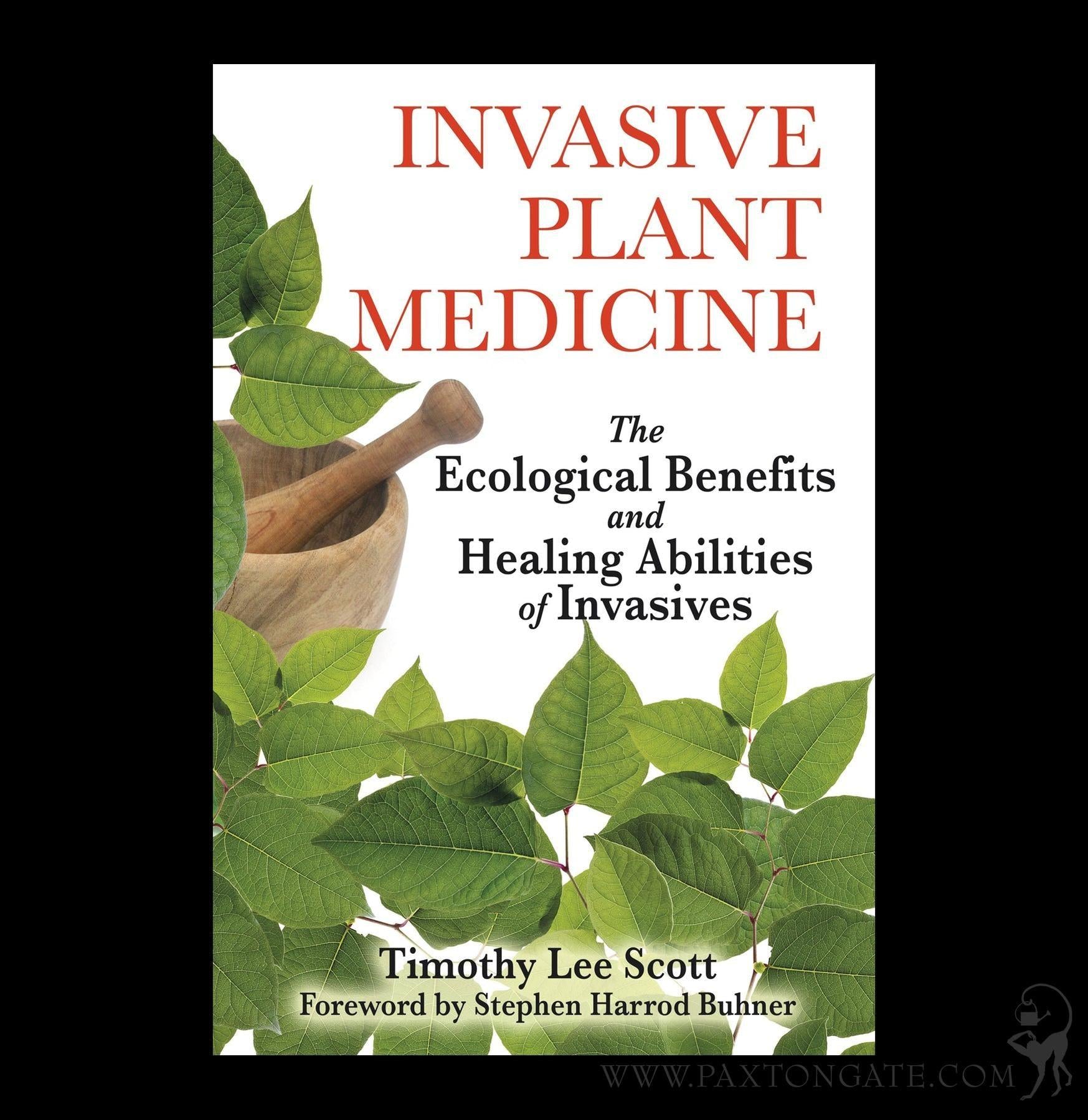 Invasive Plant Medicine – Paxton Gate