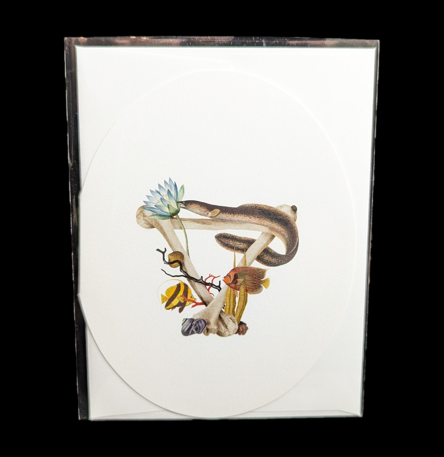 Water Elemental Greeting Card – Paxton Gate