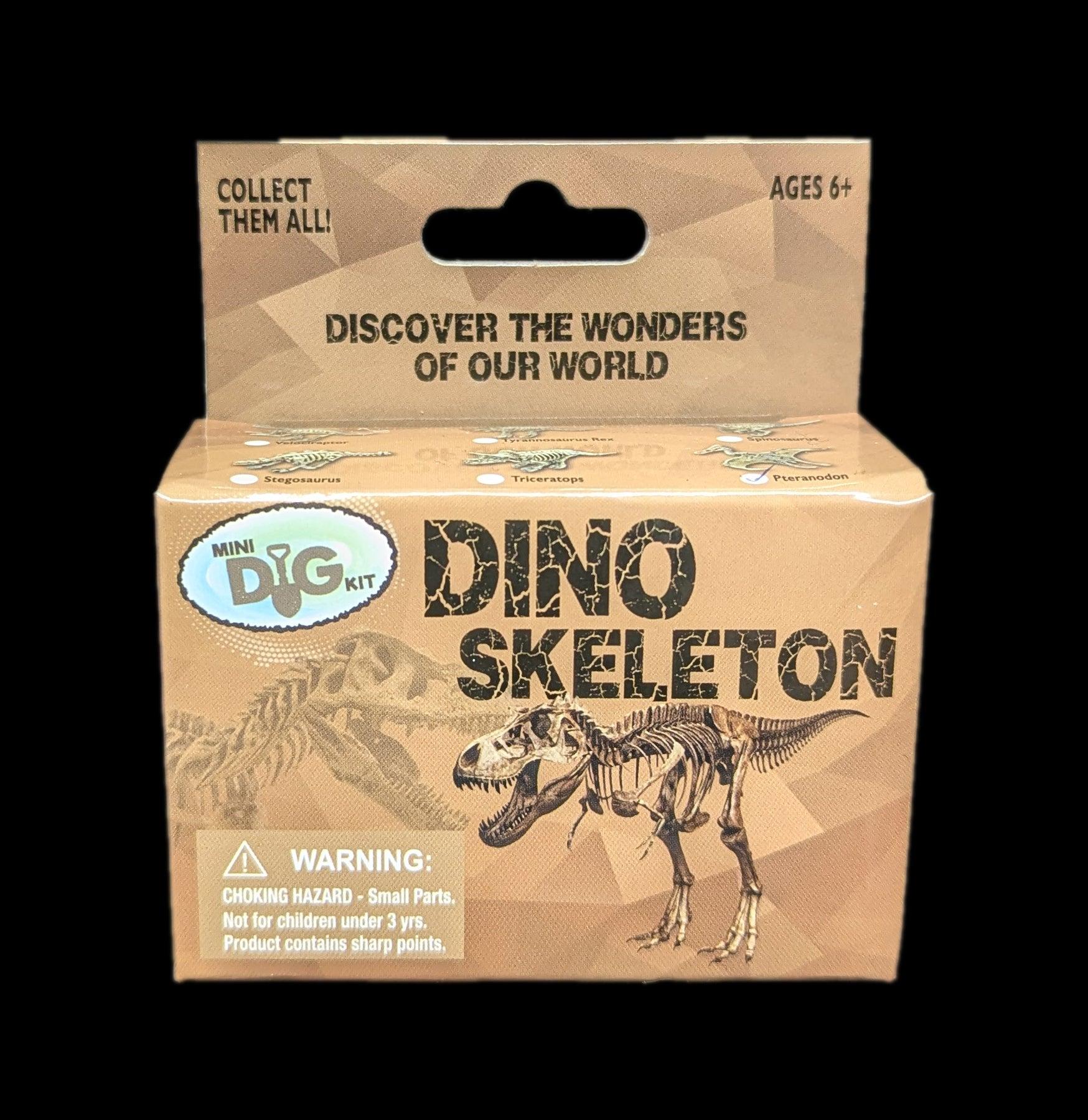 Mini Excavation Dino Skeleton Kit – Paxton Gate