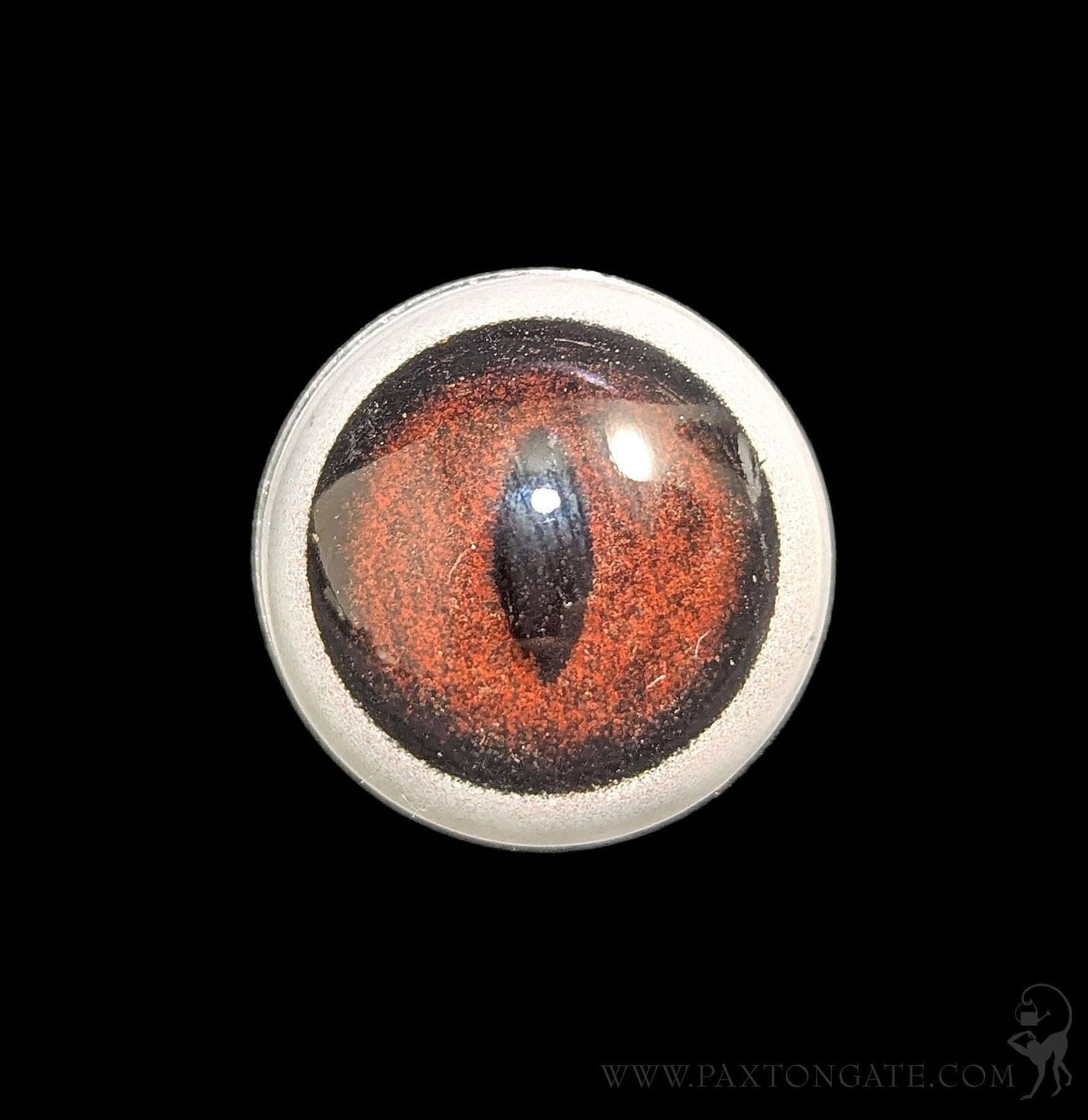 Glass Gray Fox White Banded Taxidermy Eye – Paxton Gate