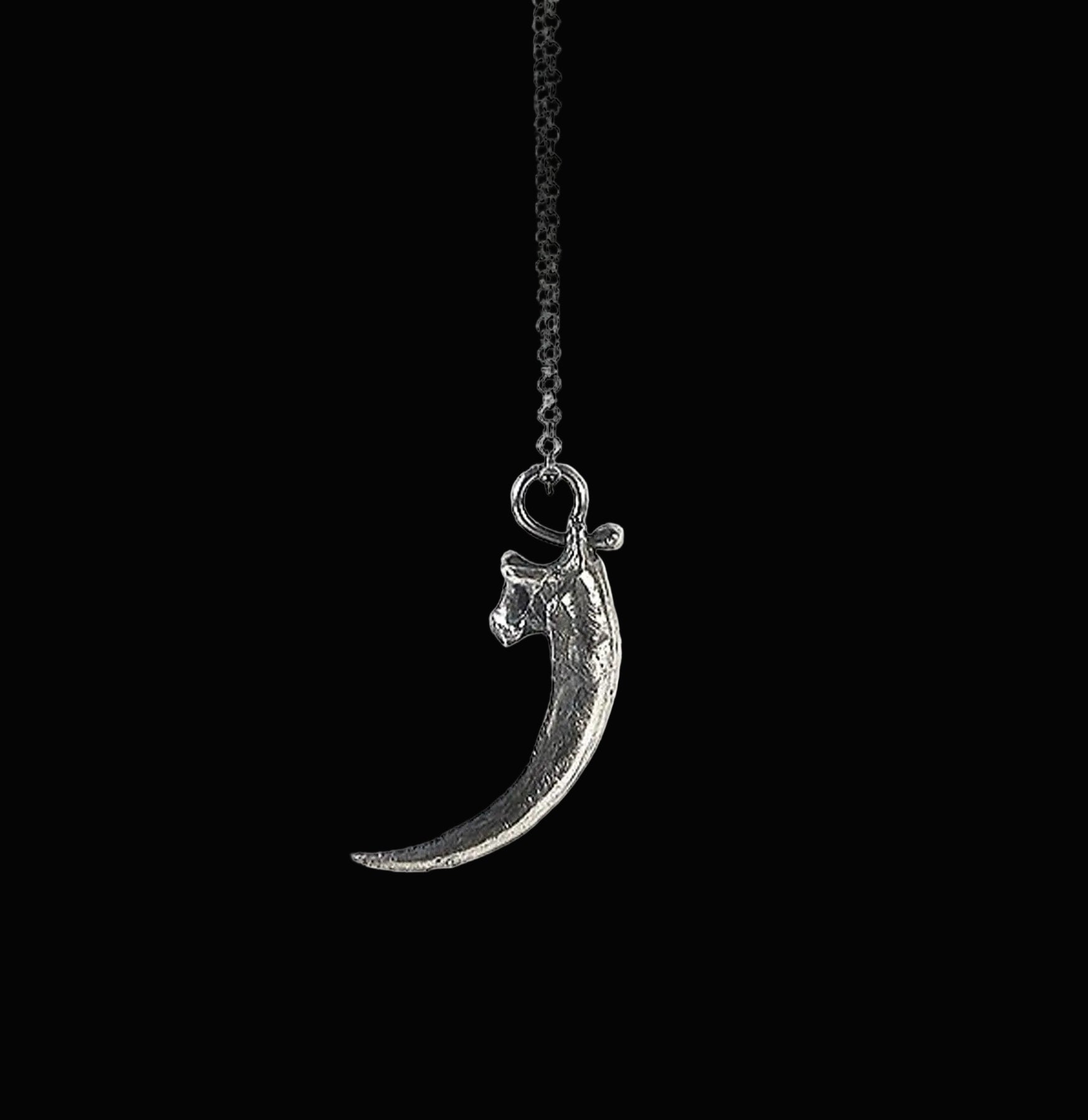 Raven Talon Sterling Silver Pendant – Paxton Gate