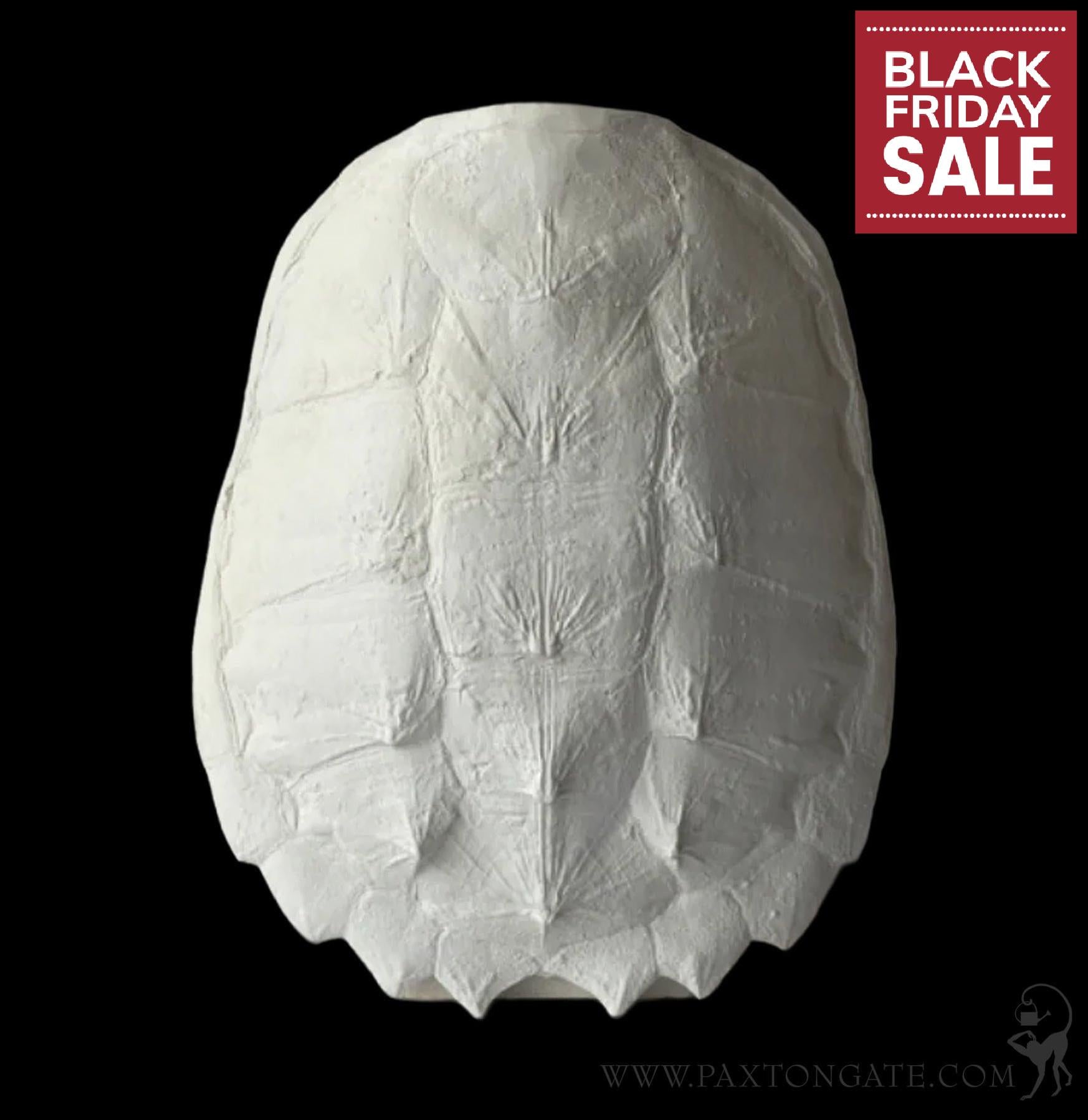 Plaster Snapping Turtle Shell – Paxton Gate