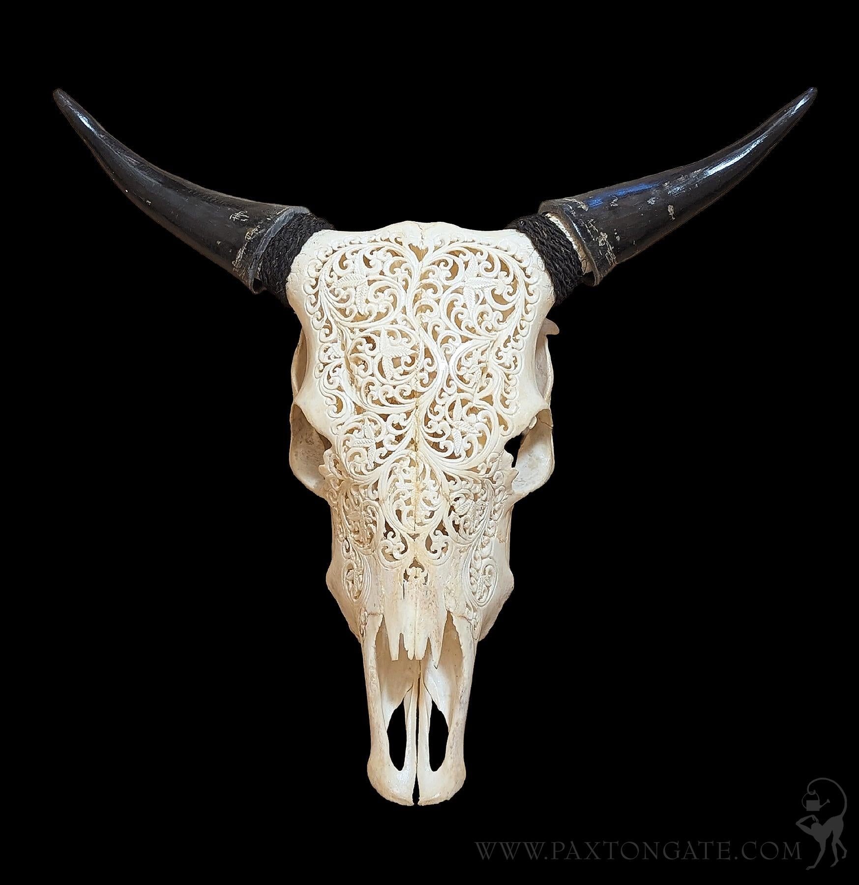 Botanical Carved Cow Skull – Paxton Gate