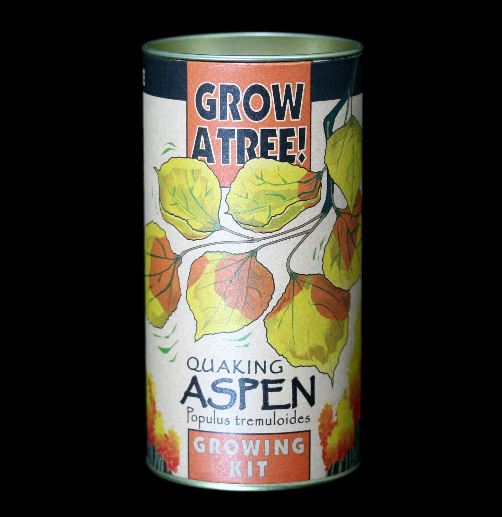 Quaking Aspen Seed Grow Kit – Paxton Gate