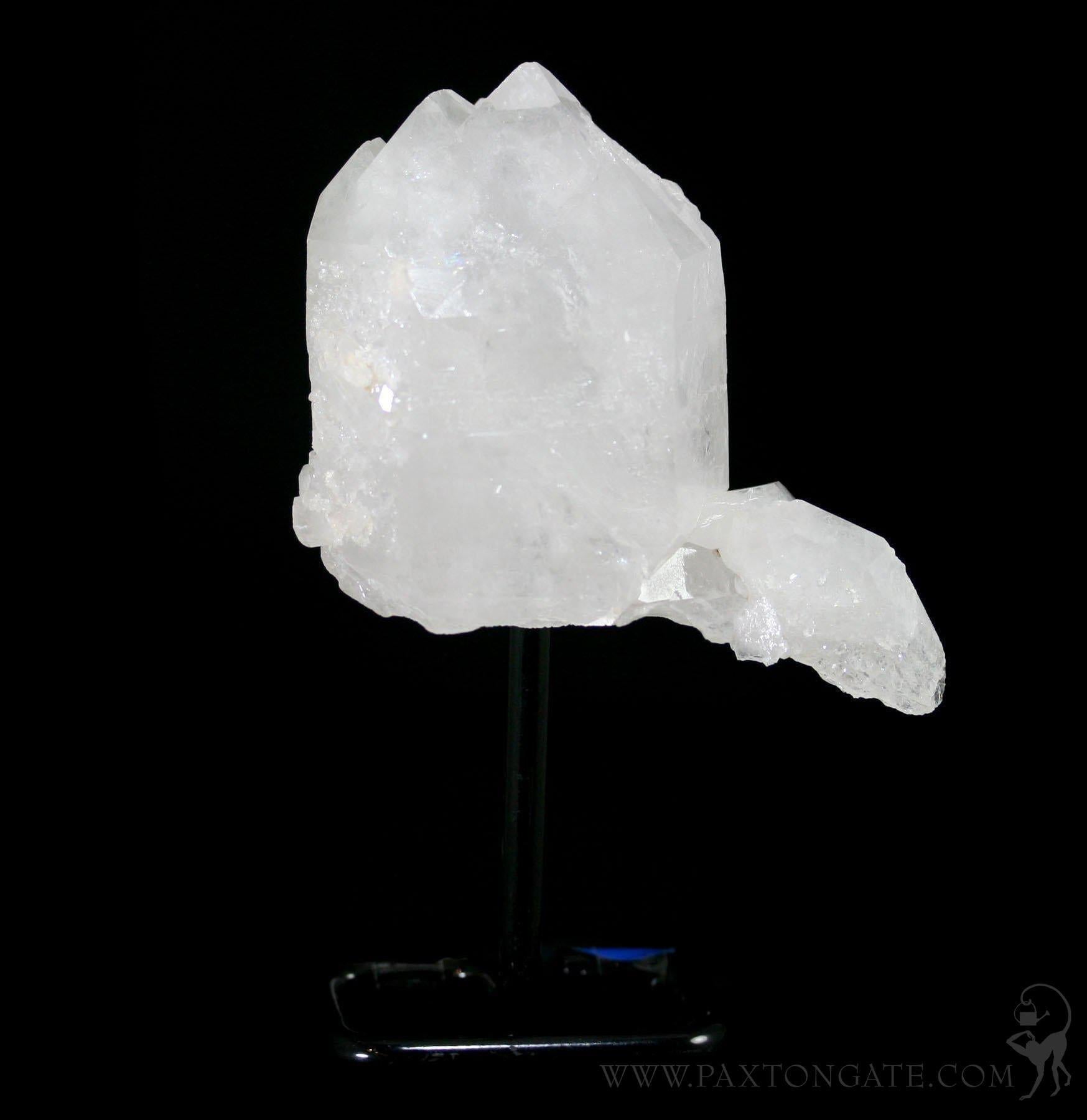 Quartz Crystal Point On Stand – Paxton Gate
