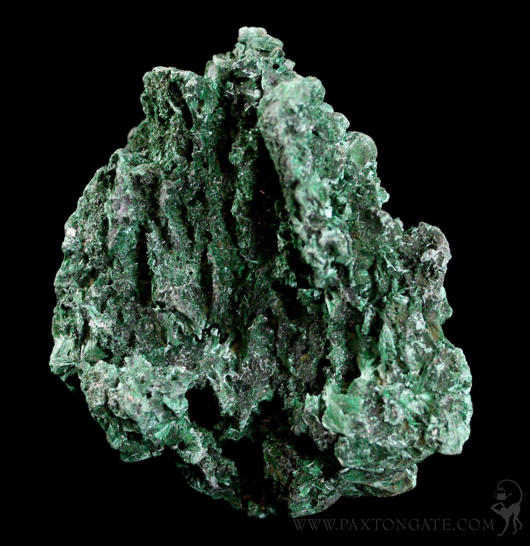 Rough Cut Malachite Specimen – Paxton Gate