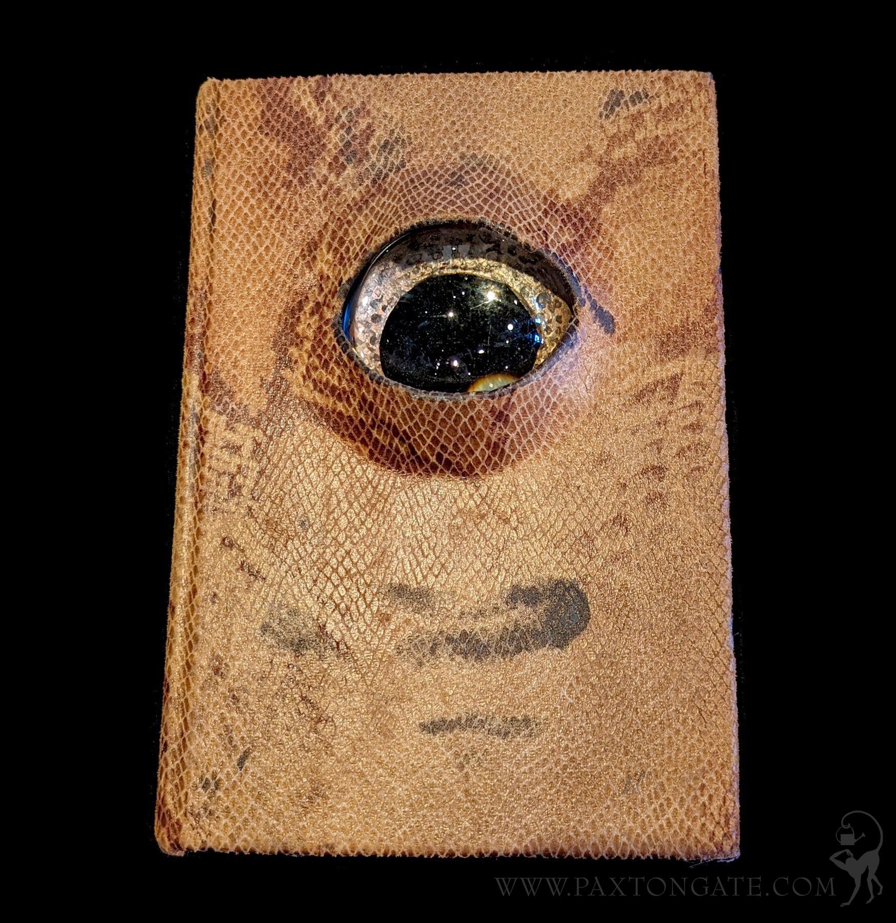 Snake Skin Book Eye – Paxton Gate